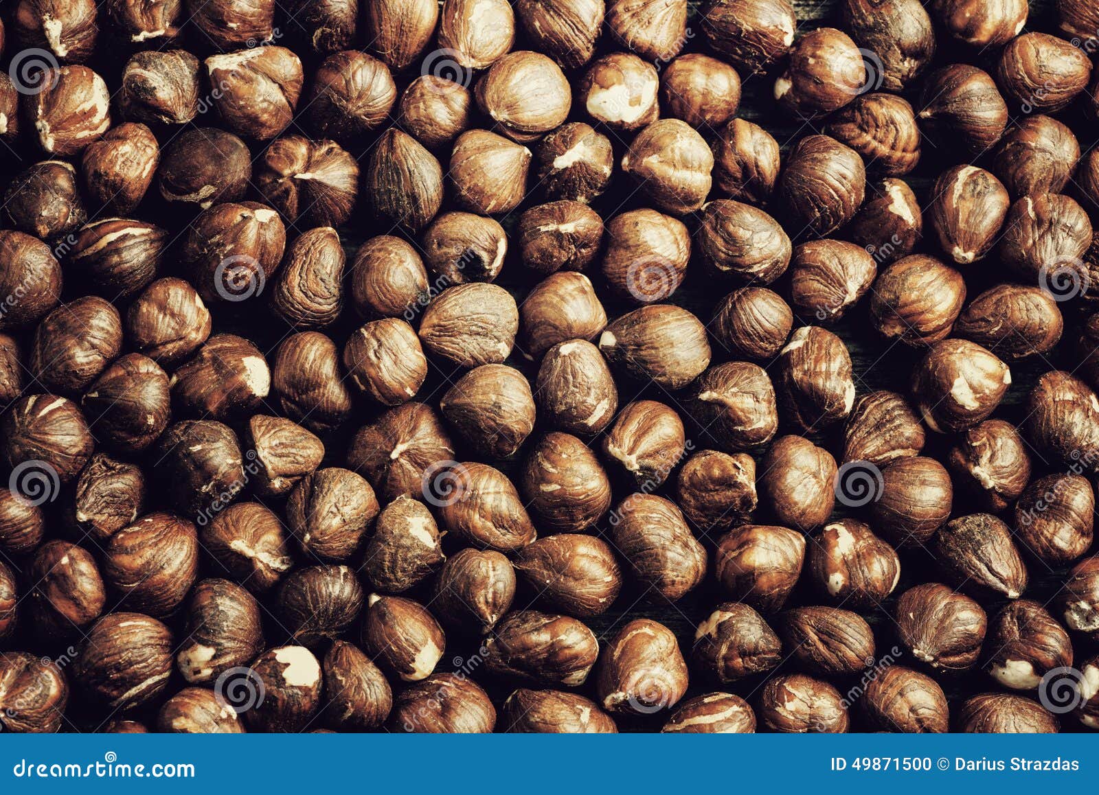 Shelled hazelnuts stock photo. Image of natural, fall - 49871500
