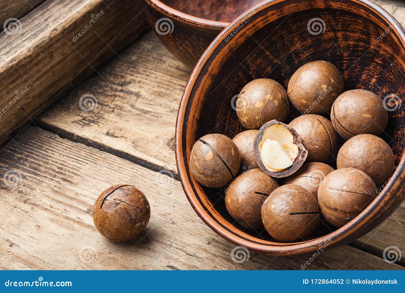 Shelled macadamia nuts stock photo. Image of hazel, essential - 172864052