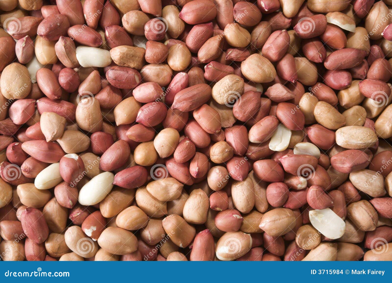 Shelled peanuts stock photo. Image of background, nuts - 3715984