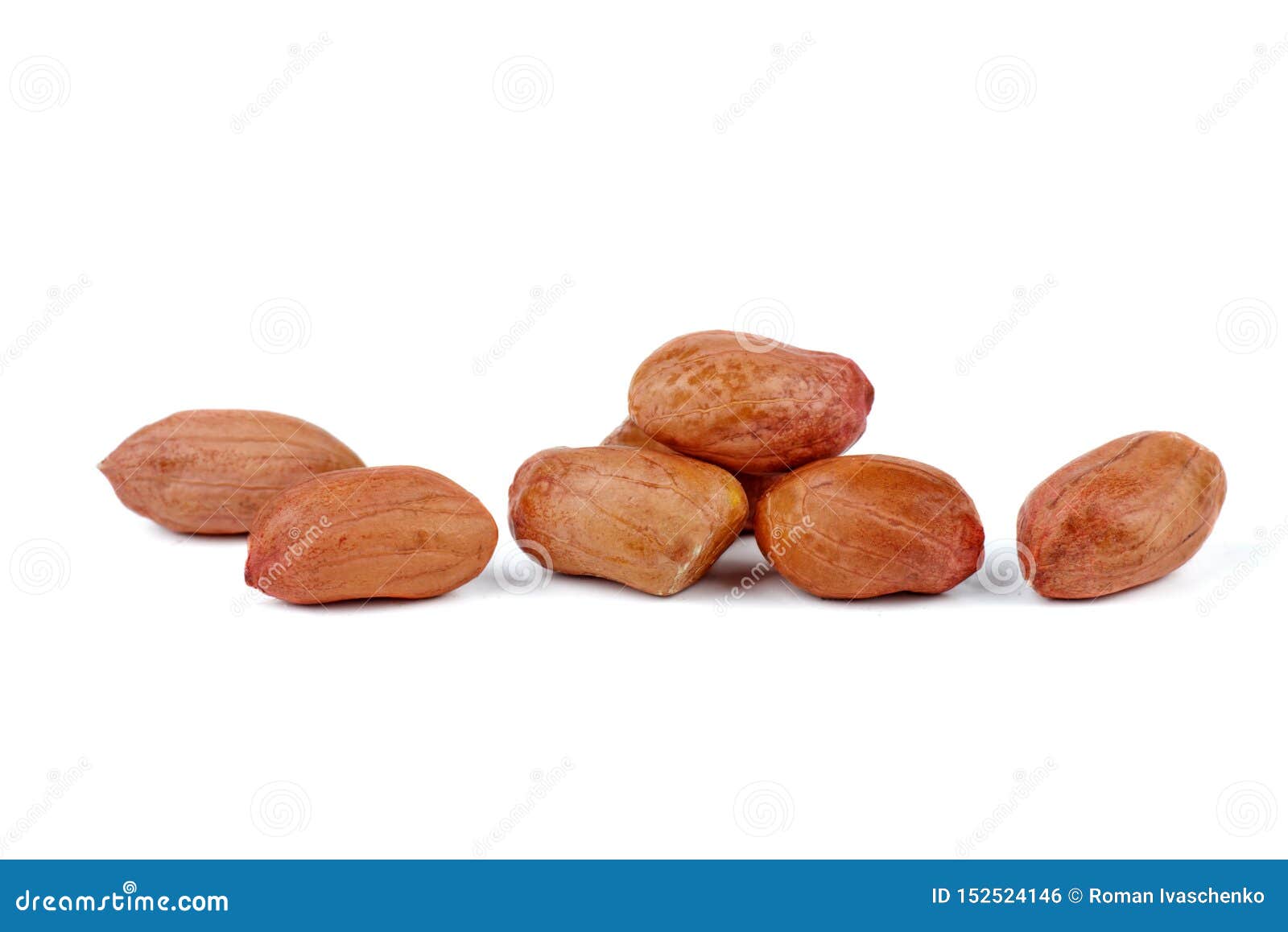 Shelled peanuts stock photo. Image of groundnut, healthy - 152524146