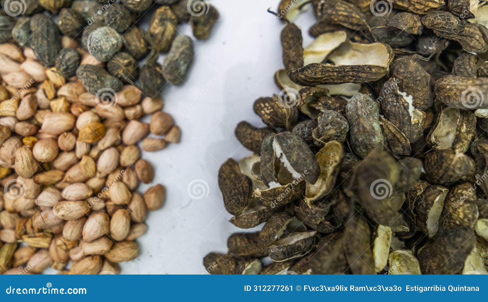 Delicious Raw Shelled and Shelled Peanuts Stock Image - Image of open ...