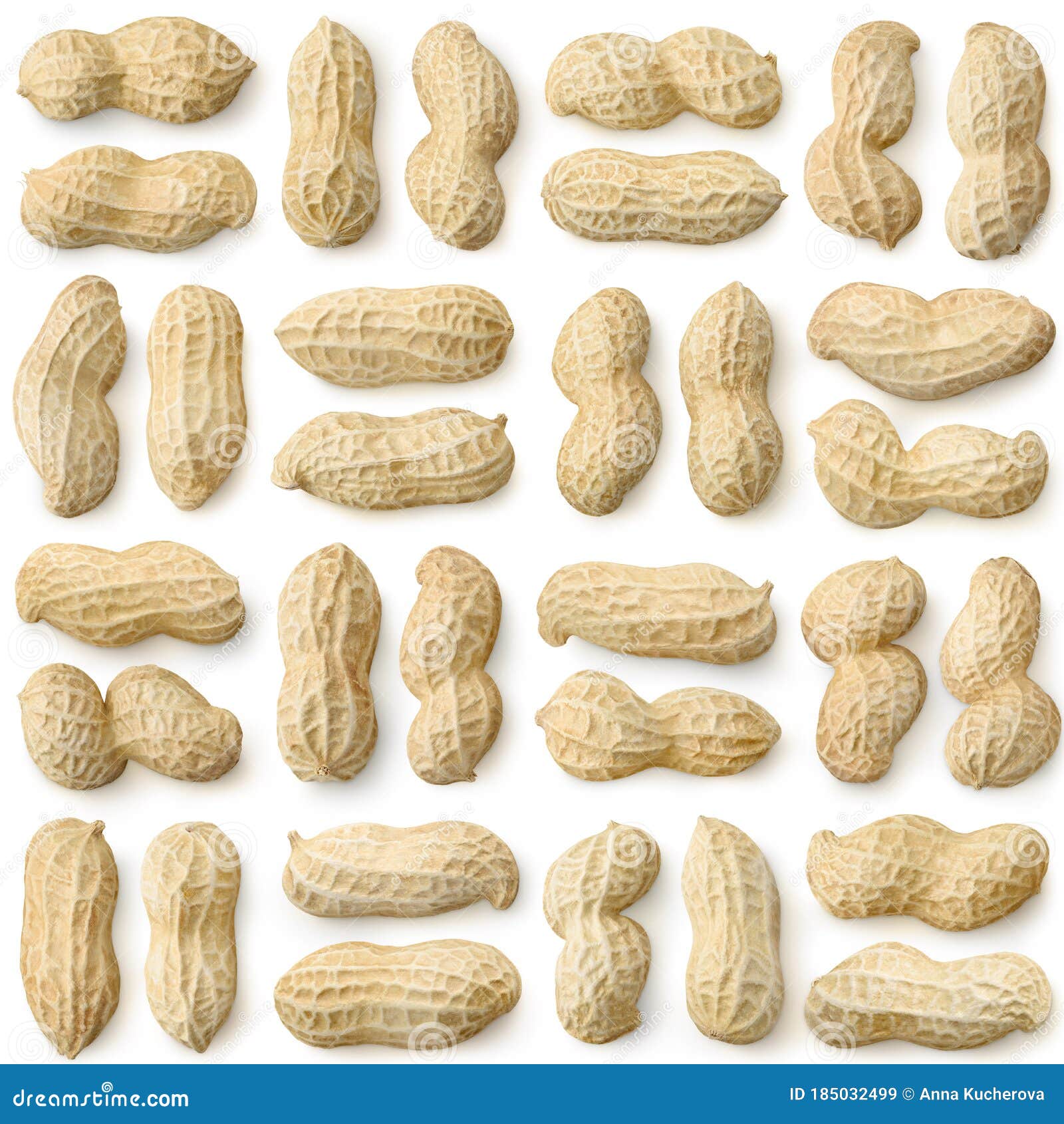 Shelled Peanuts Seamless Pattern Stock Image - Image of monkey ...