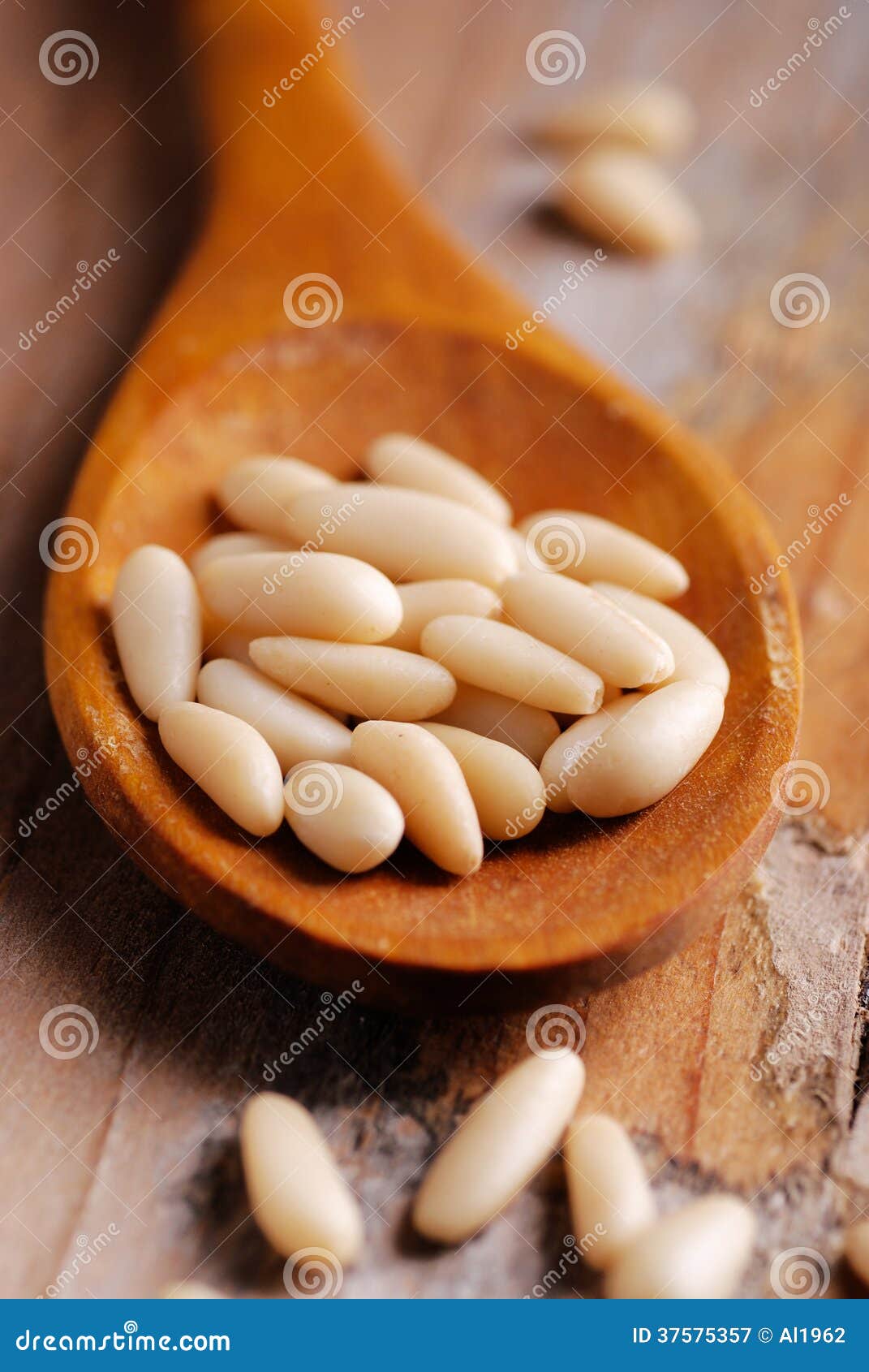 Shelled pine nuts stock image. Image of closeup, white - 37575357