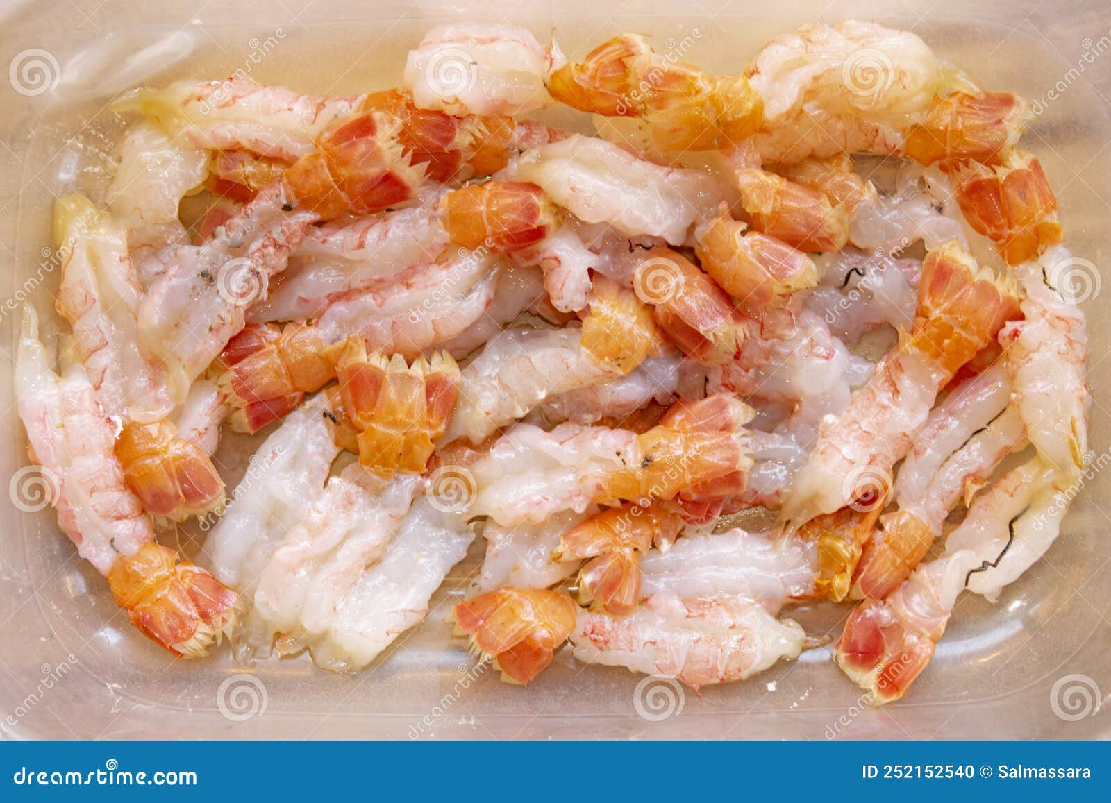 Shelled raw scampi stock photo. Image of shelled, scampi - 252152540