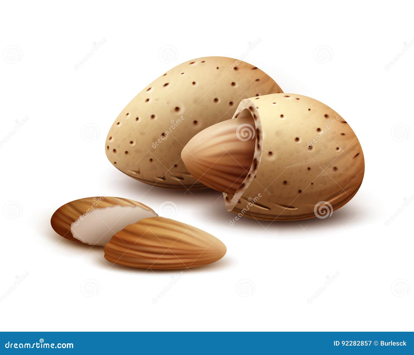 Almond Cartoons, Illustrations & Vector Stock Images - 65189 Pictures ...