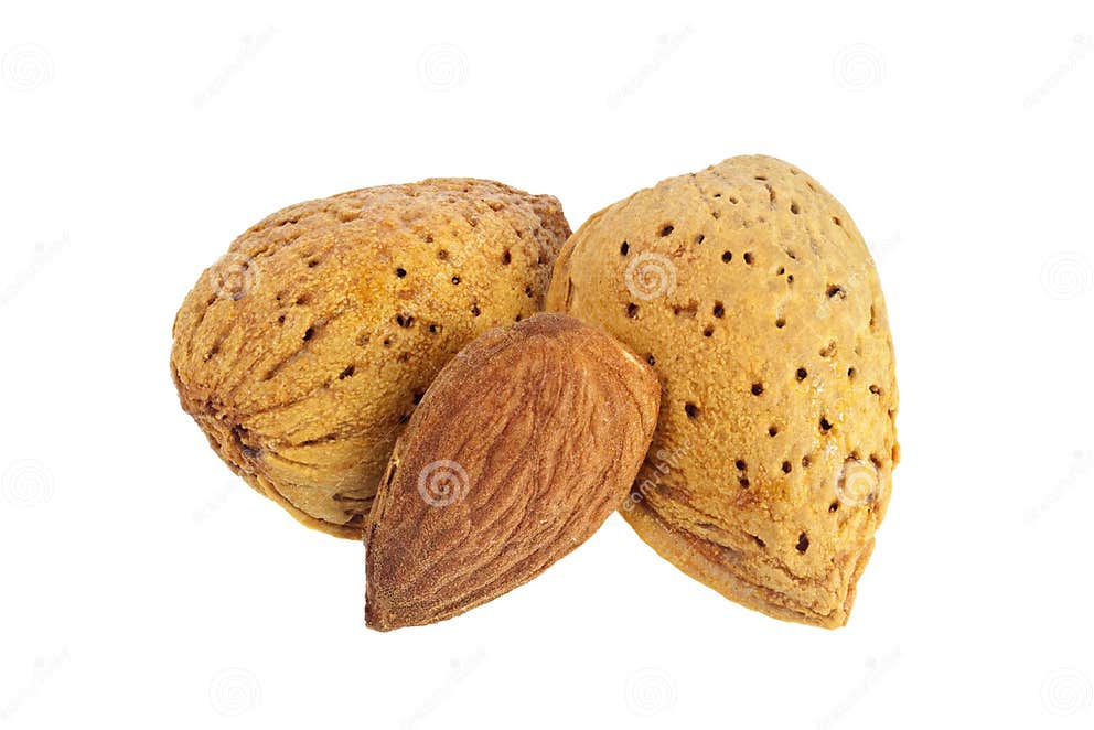 Shelled and Unshelled Almonds Stock Photo - Image of shelled, almond ...