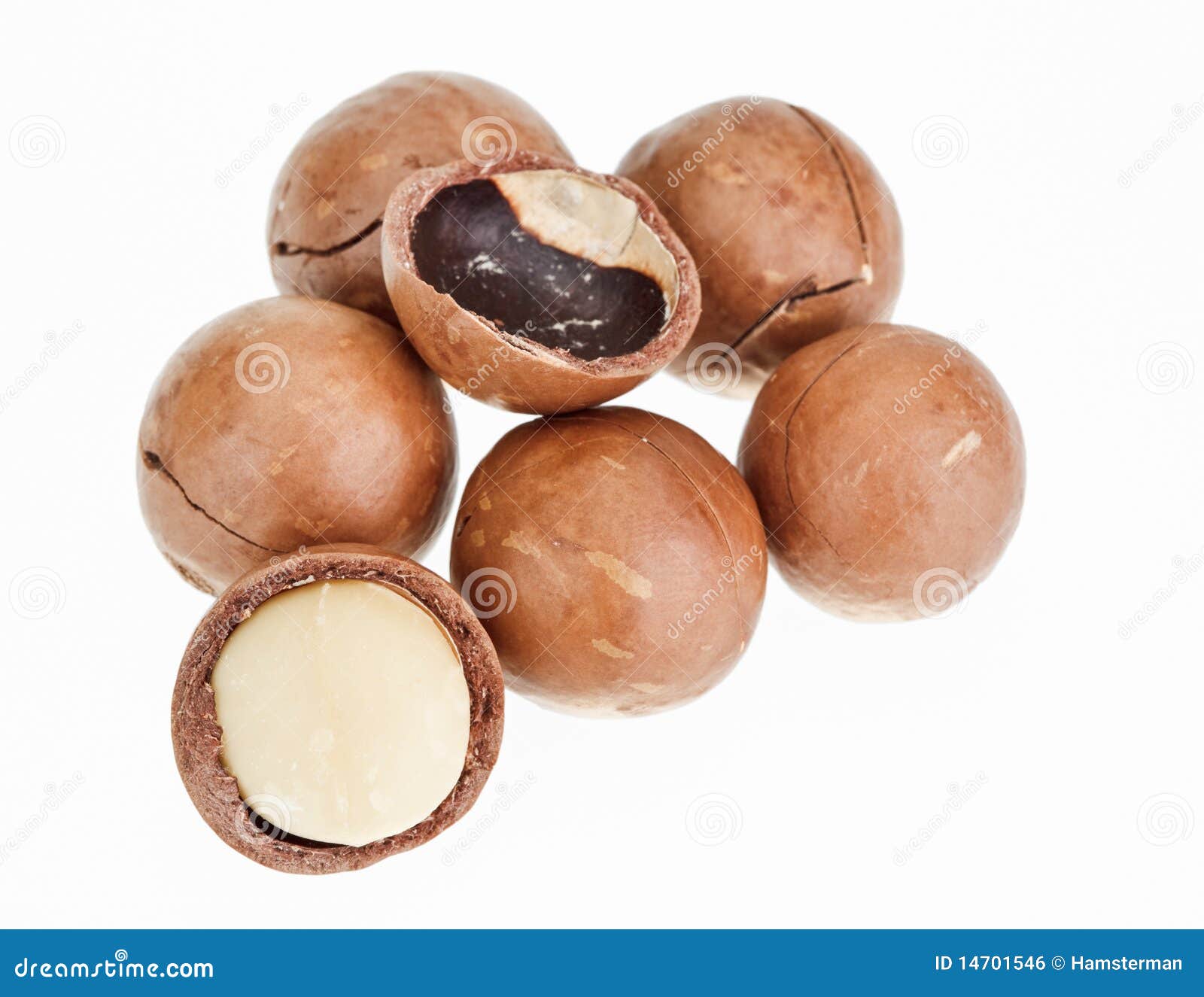 Shelled and Unshelled Macadamia Nuts Stock Photo - Image of macadamia ...