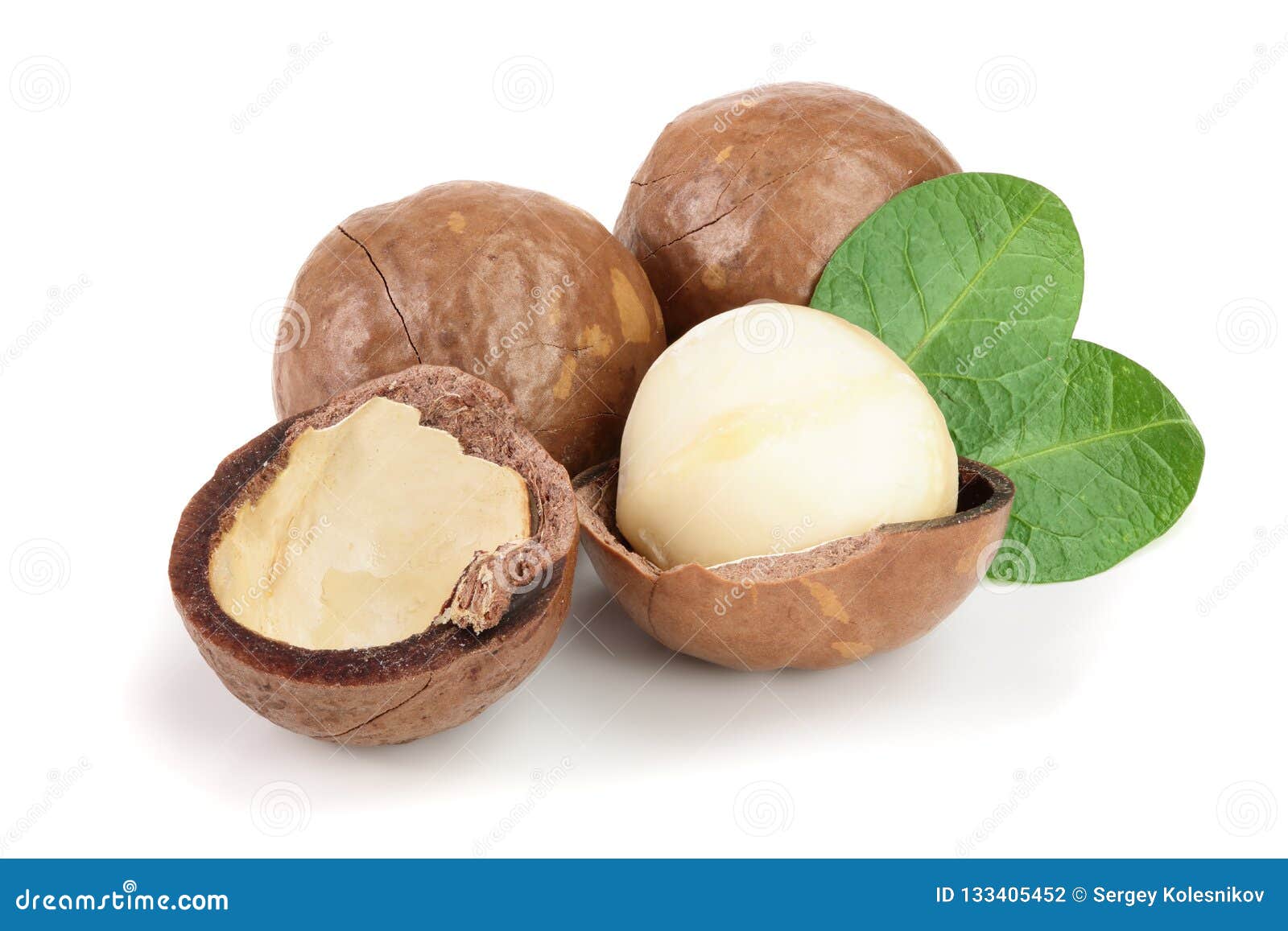 Shelled and Unshelled Macadamia Nuts with Leaves on White Background ...