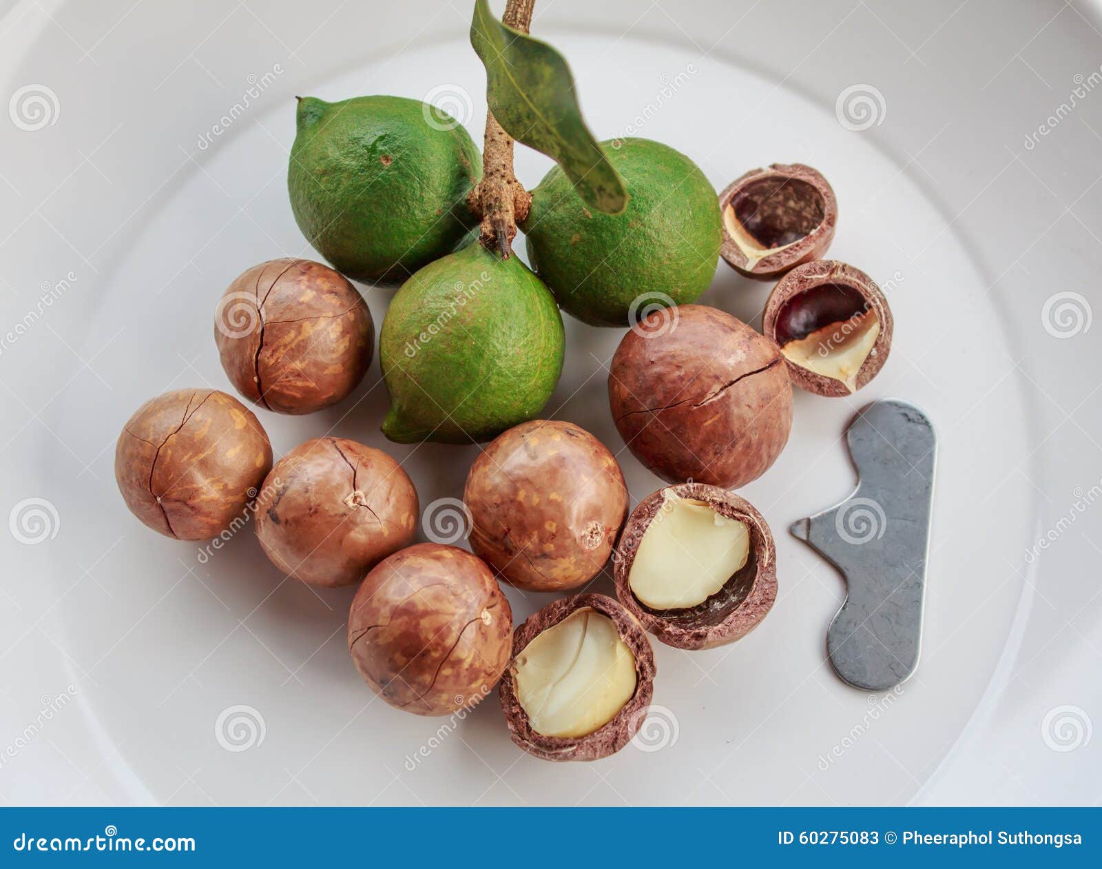 Shelled and Unshelled Macadamia Nuts Stock Image - Image of organic ...