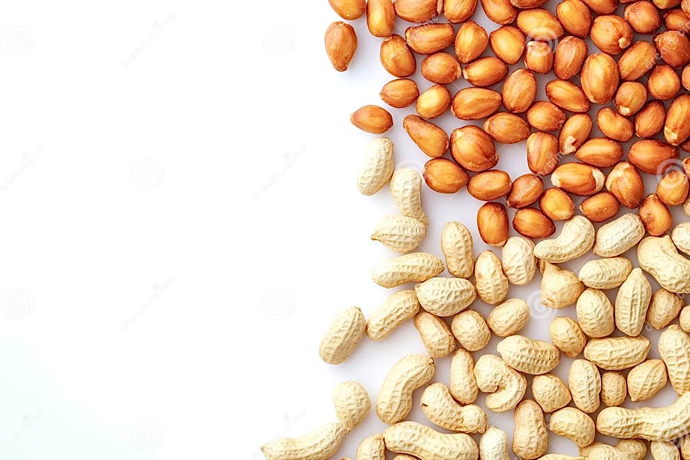 Peanuts with and without Shell Forming a Border on White Background ...