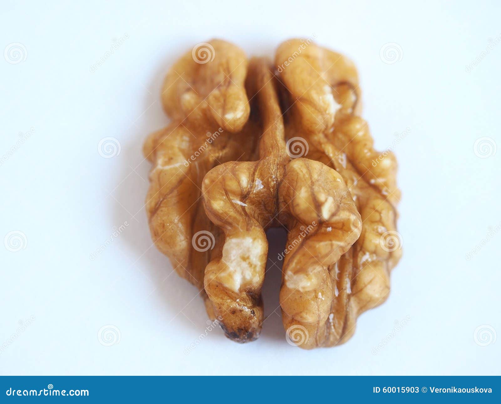 Shelled walnut seed stock image. Image of close, curve - 60015903
