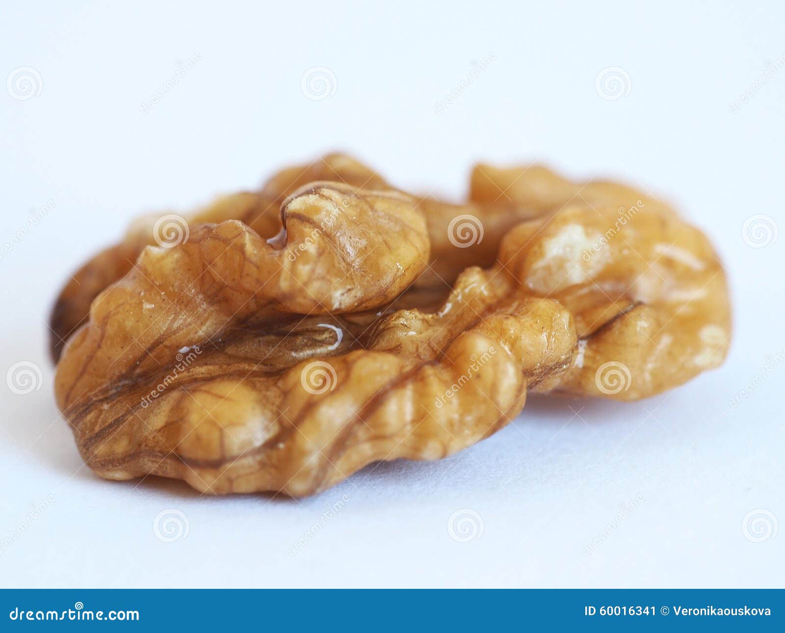 Shelled walnut seed stock image. Image of czech, background - 60016341