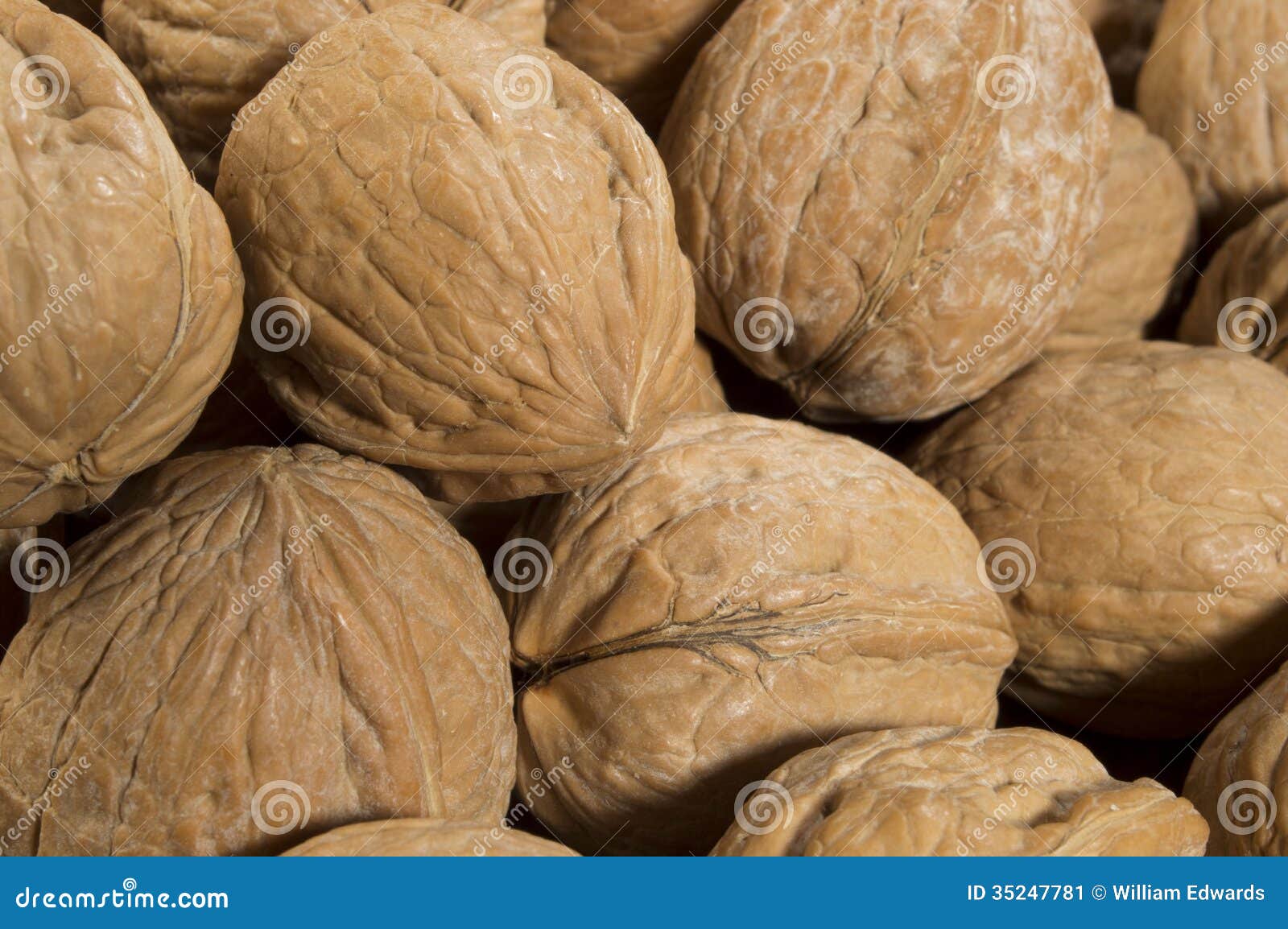 Shelled Walnuts stock image. Image of walnuts, walnut - 35247781