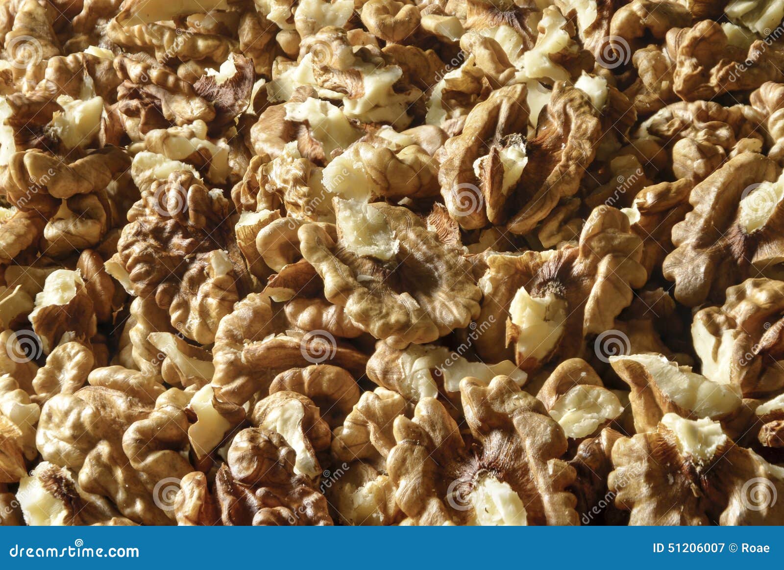 Shelled walnuts stock image. Image of healthy, fibre - 51206007