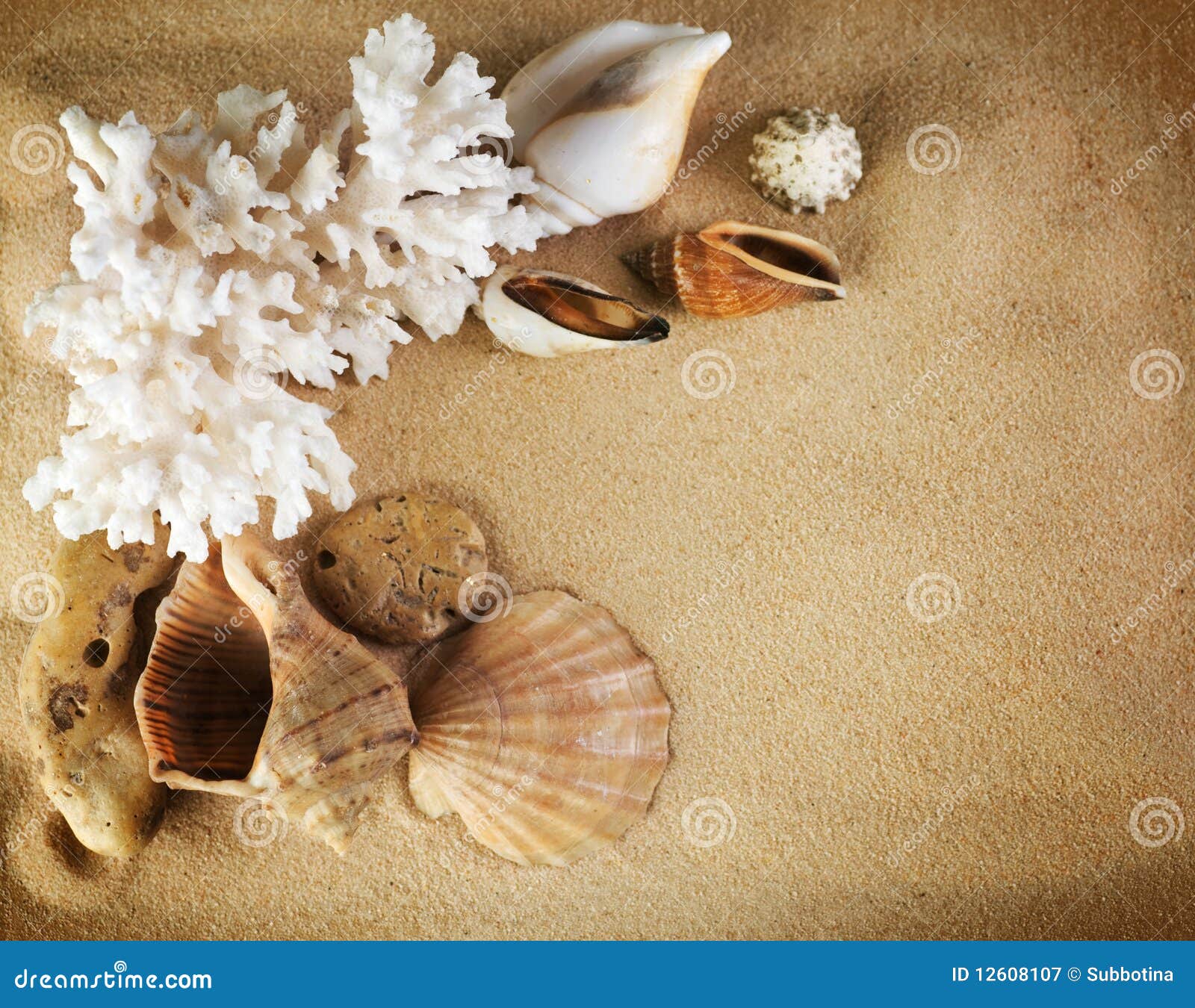 Shelles imagen de archivo. Imagen de conjurar, colores - 12608107