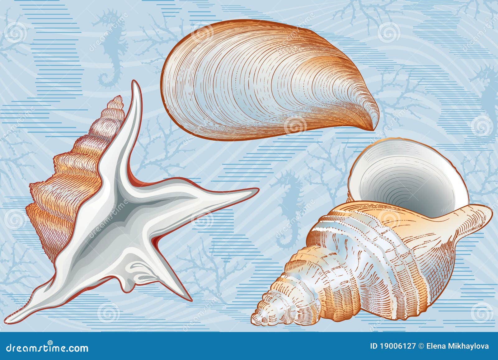 Shelles ilustración del vector. Ilustración de modelo - 19006127