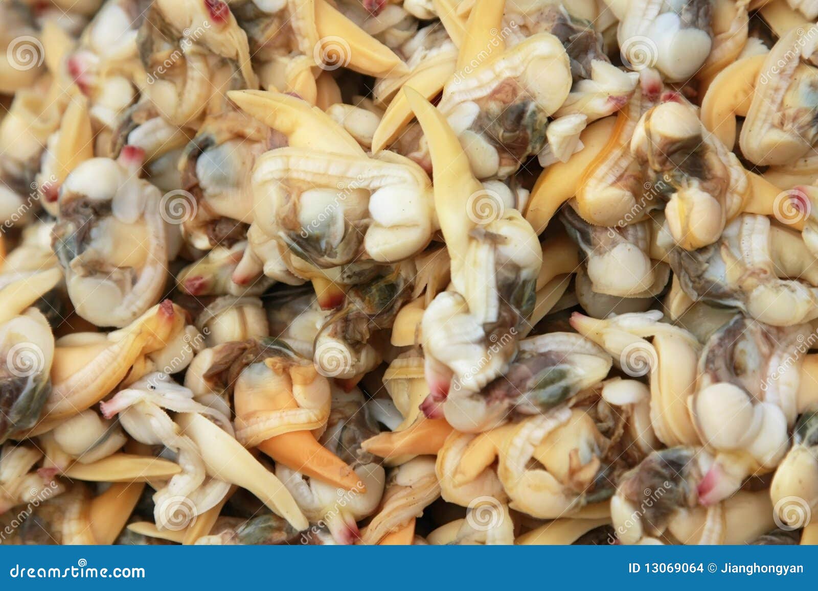 Shellfish stock photo. Image of restaurant, recipe, produce - 13069064