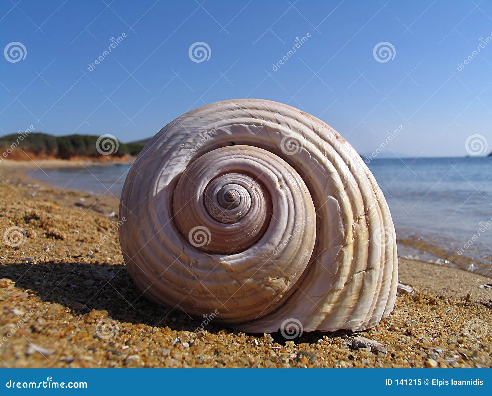 Shellfish stock image. Image of coastline, blue, shoreline - 141215