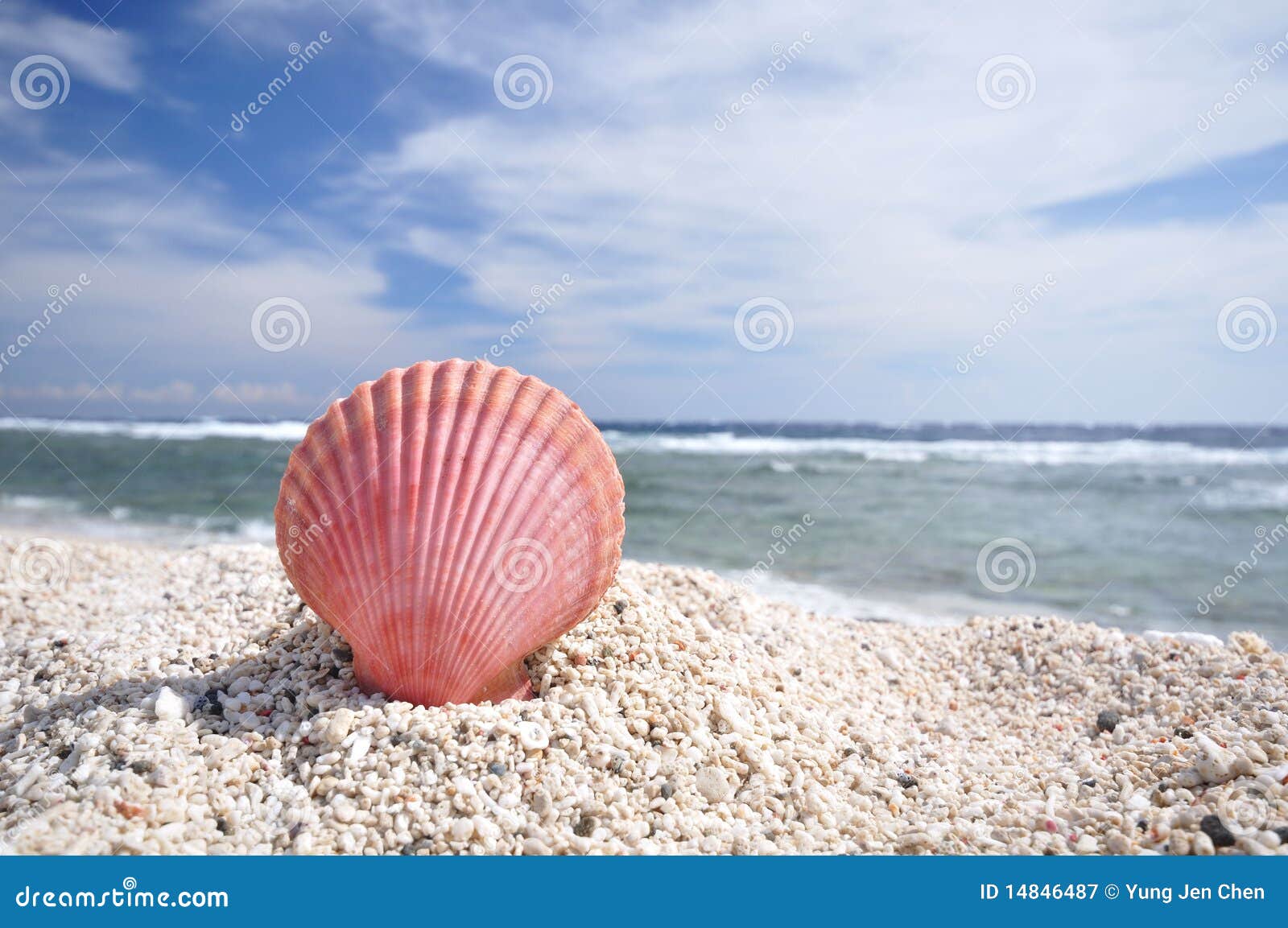 A shellfish stock image. Image of calm, beauty, quiet - 14846487