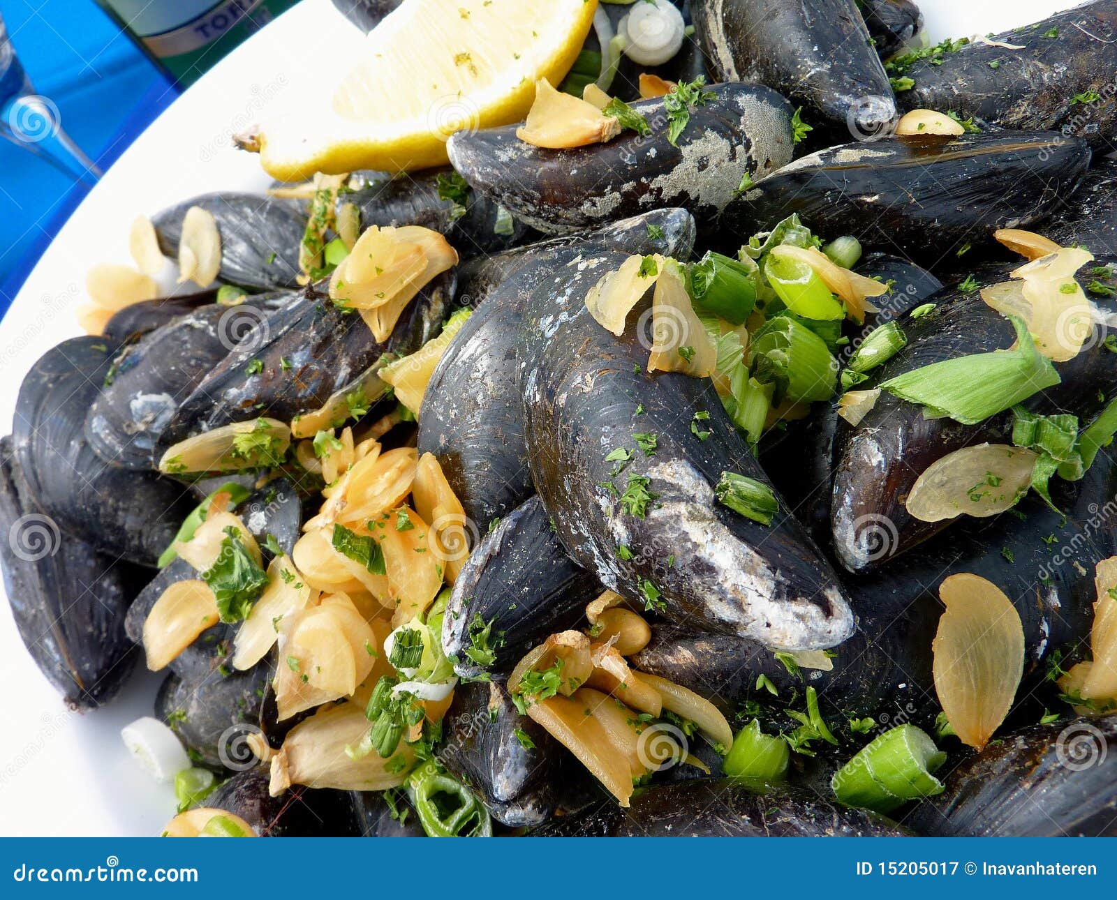 Shellfish stock image. Image of shells, shellfish, dinner - 15205017