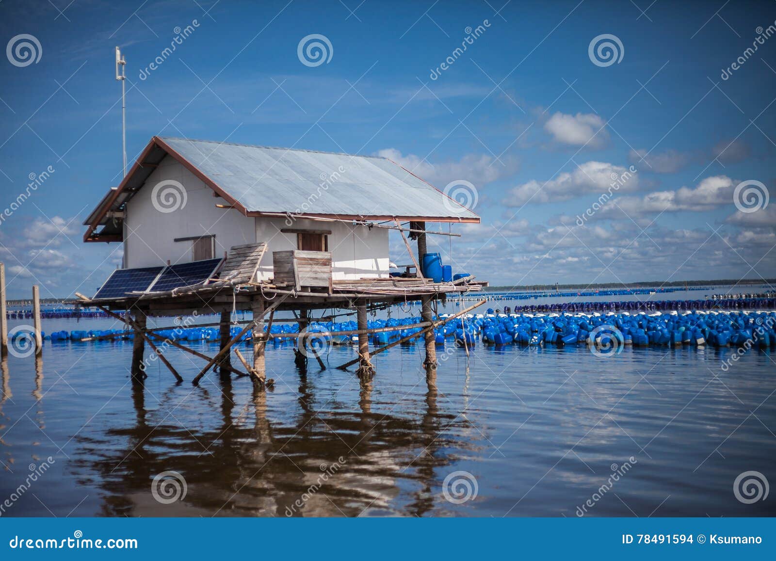 Shellfish aquaculture stock photo. Image of line, cultivation - 78491594