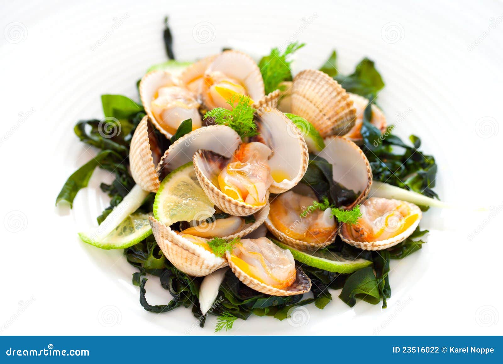 Shellfish appetizer. stock photo. Image of nutrition - 23516022