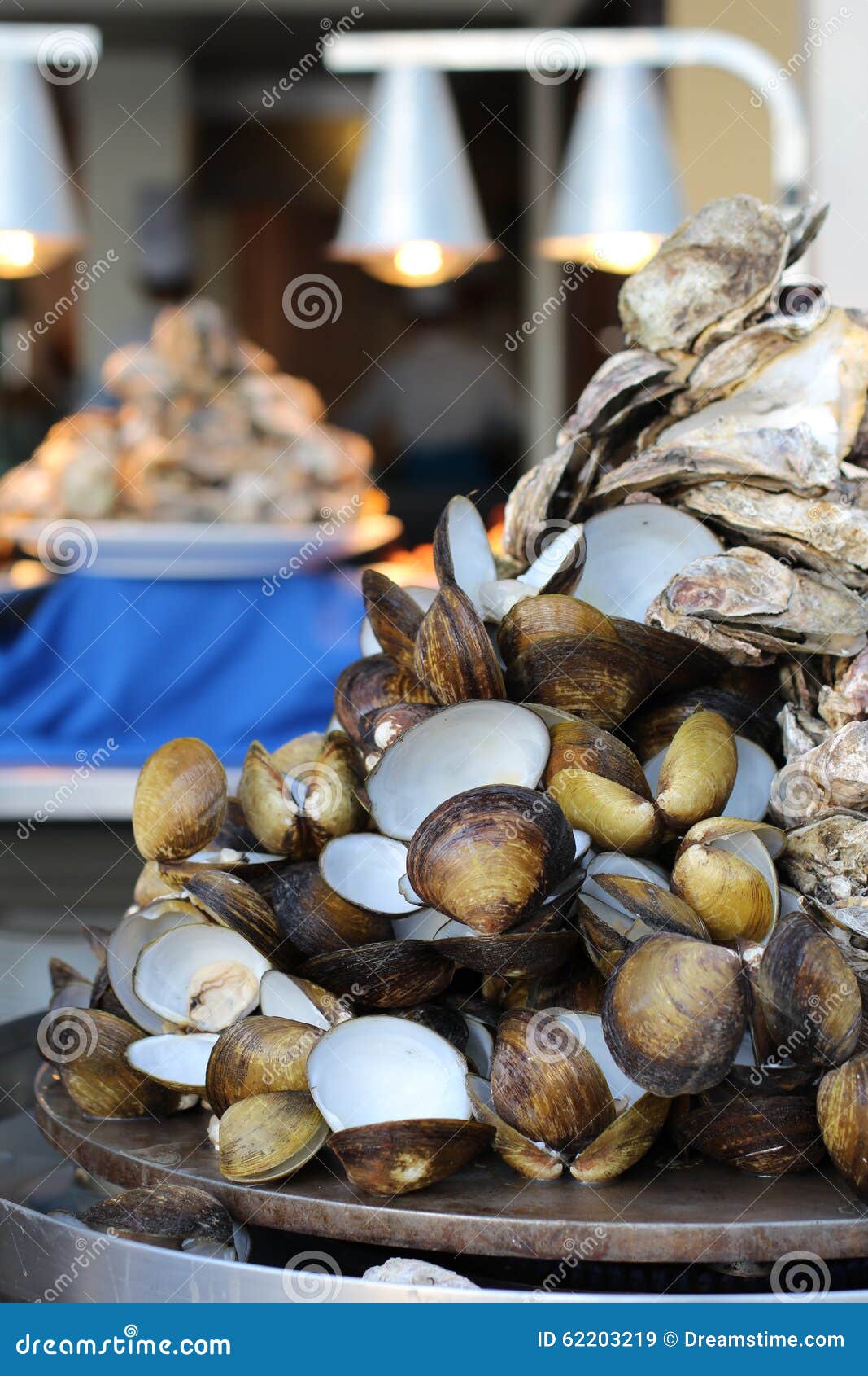Shellfish stock image. Image of philippines, grill, oyster - 62203219