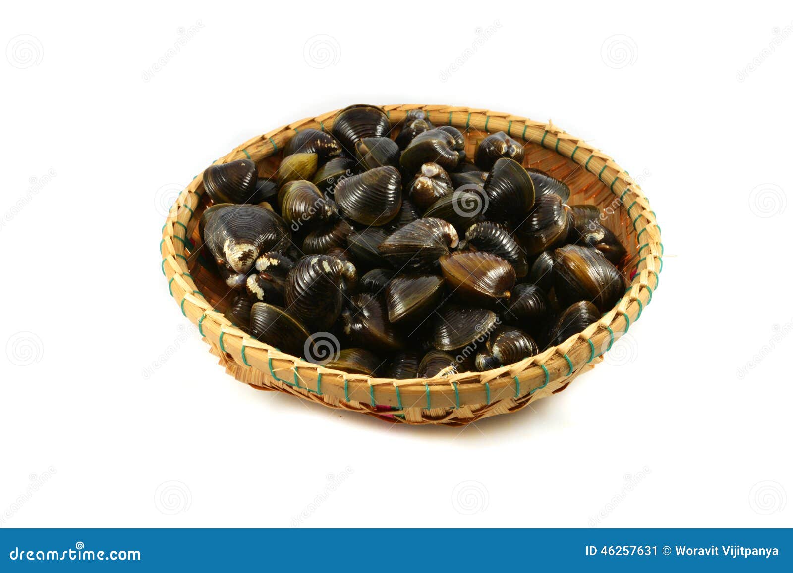 Shellfish Clams on basket stock image. Image of basket - 46257631