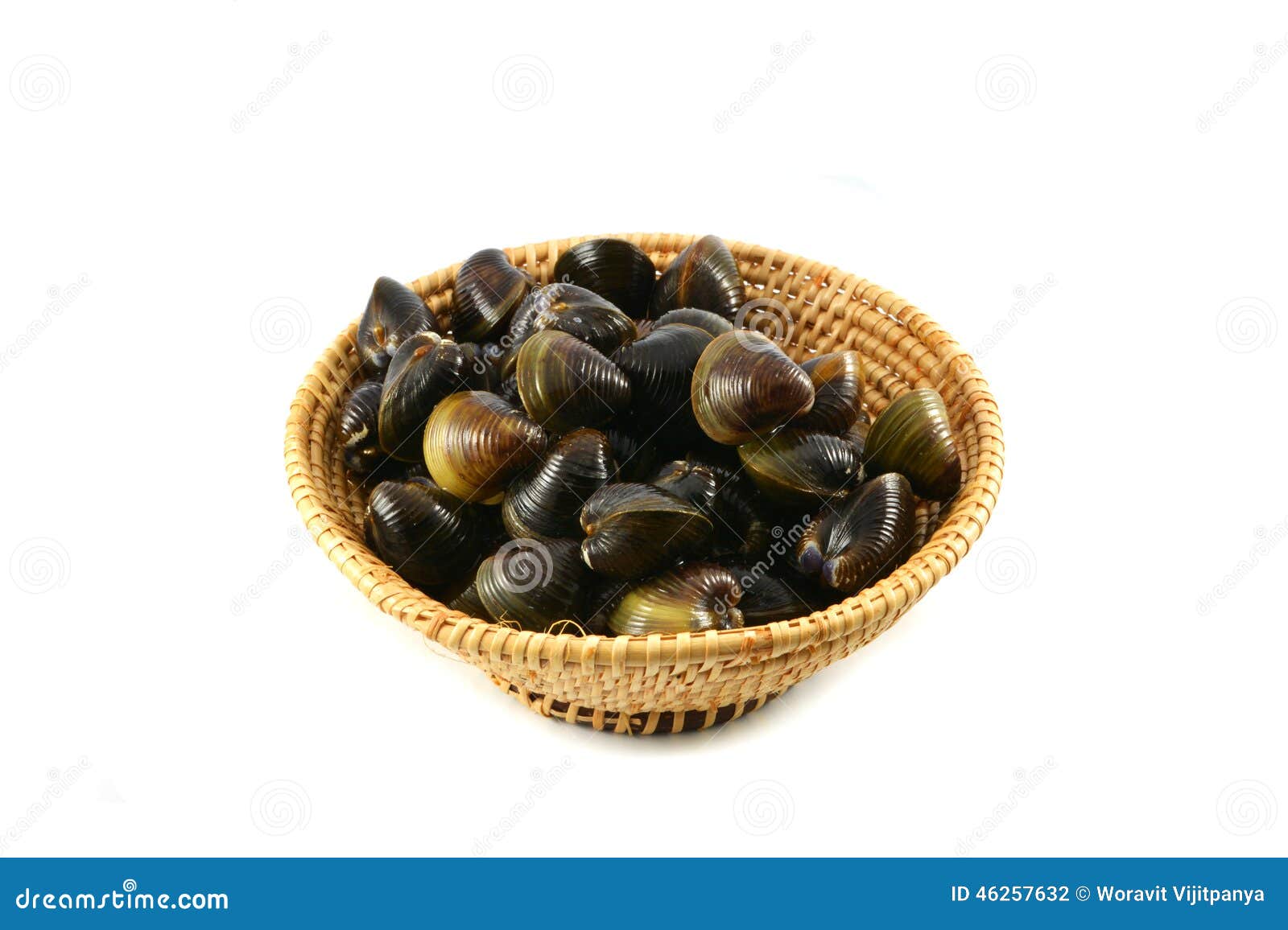 Shellfish Clams on basket stock photo. Image of seafood - 46257632