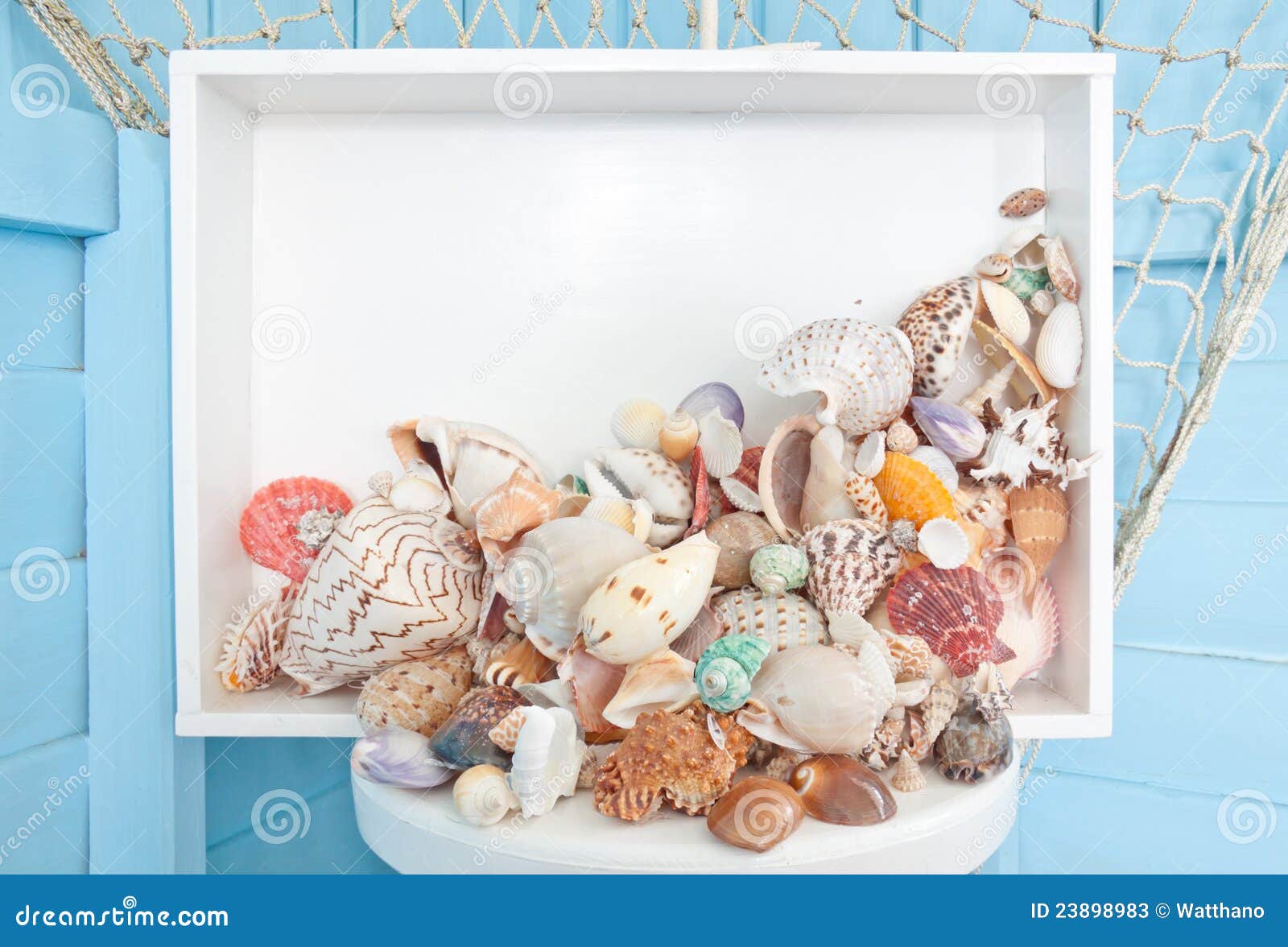 Shellfish Decoration stock image. Image of colorful, background - 23898983
