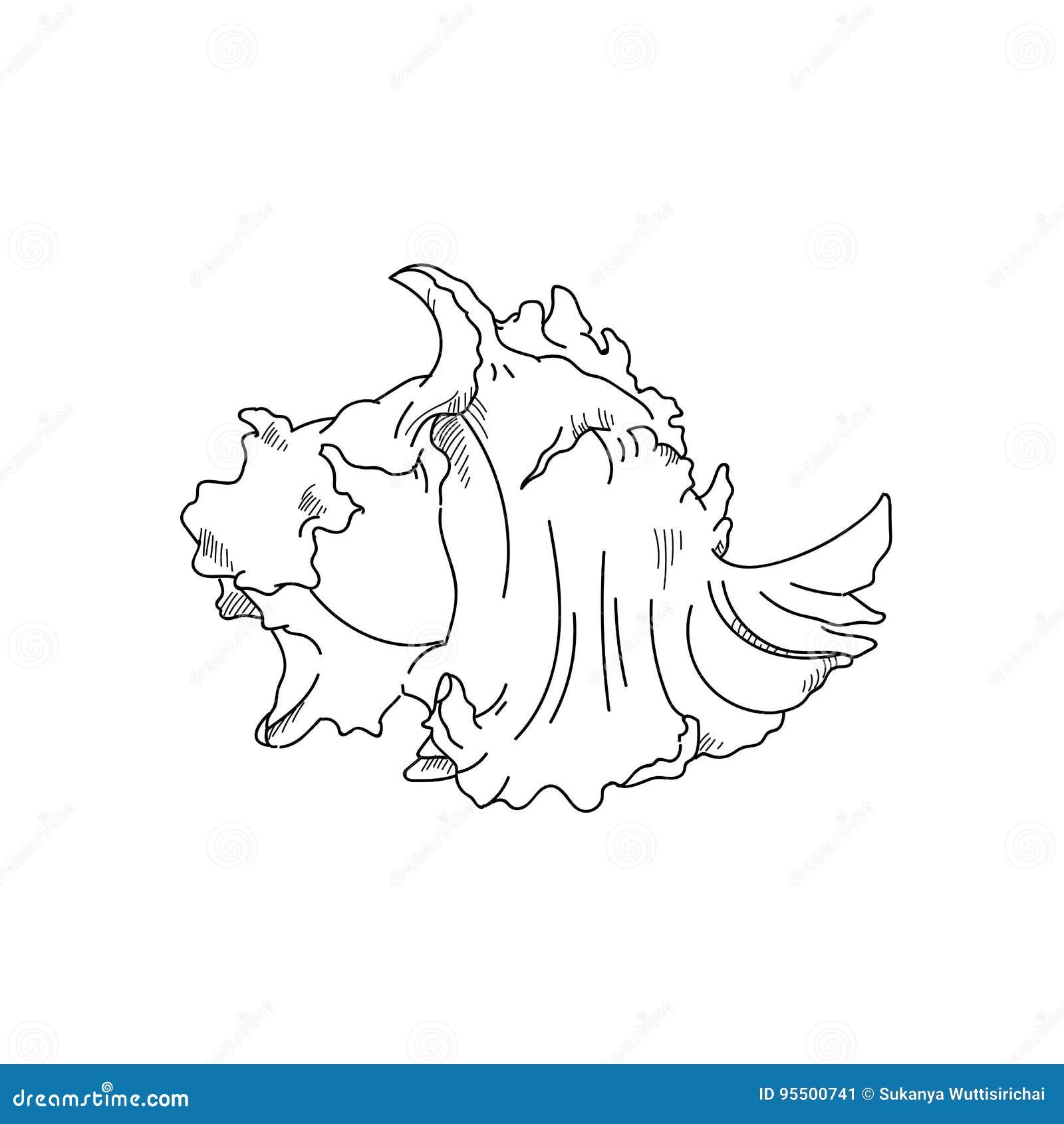 Shellfish Hand Drawn Sketch Illustrations of Engraved Stock ...