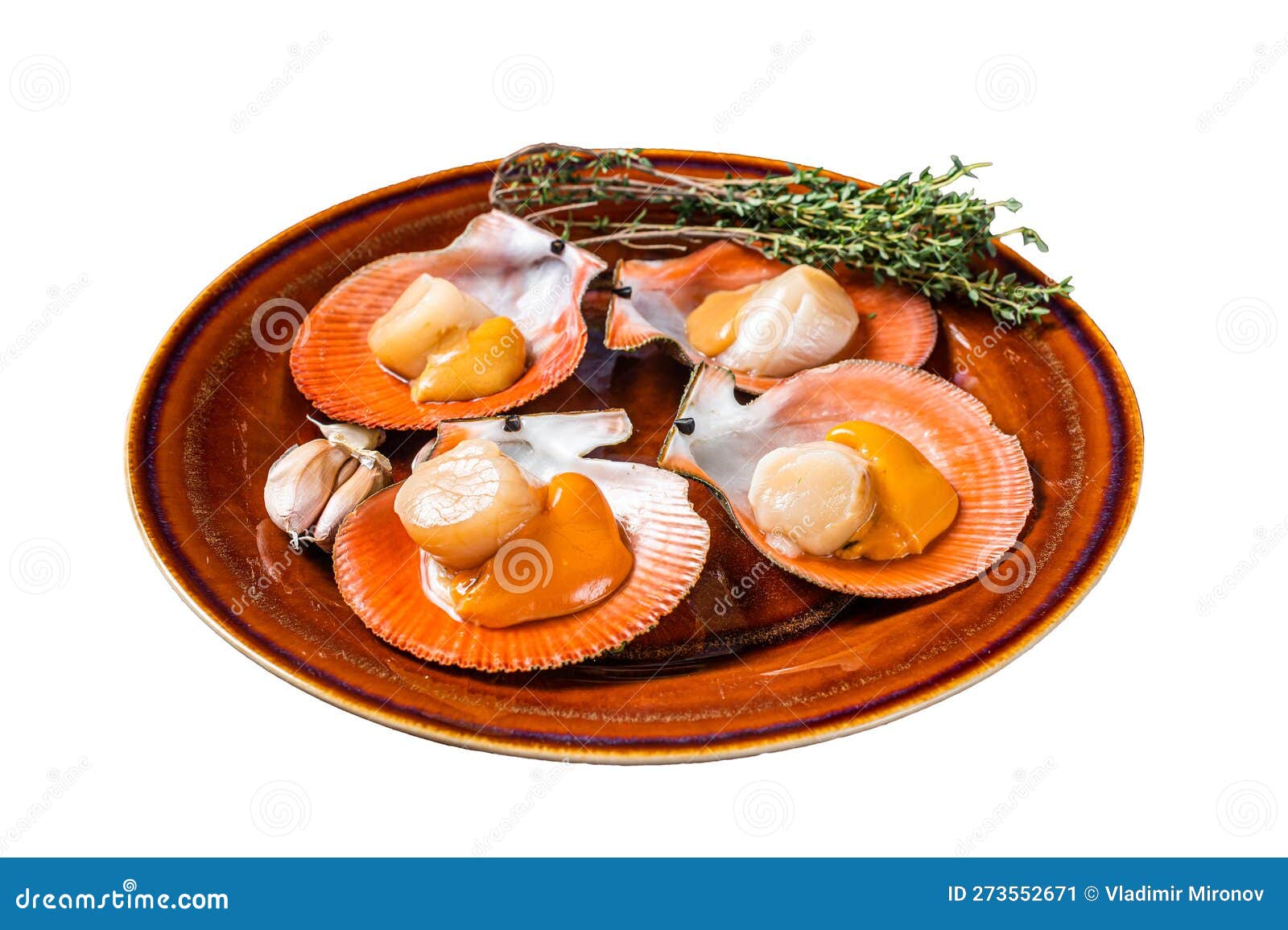 Shellfish Raw Scallops on a Rustic Plate with Thyme. Isolated on White ...