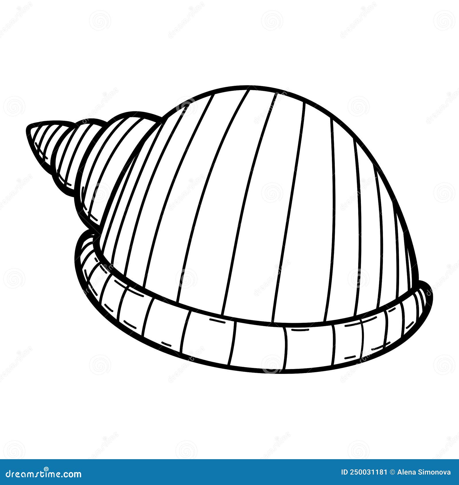 Hand Drawn Sketch Sea Shell- 8 Stock Vector - Illustration of line ...