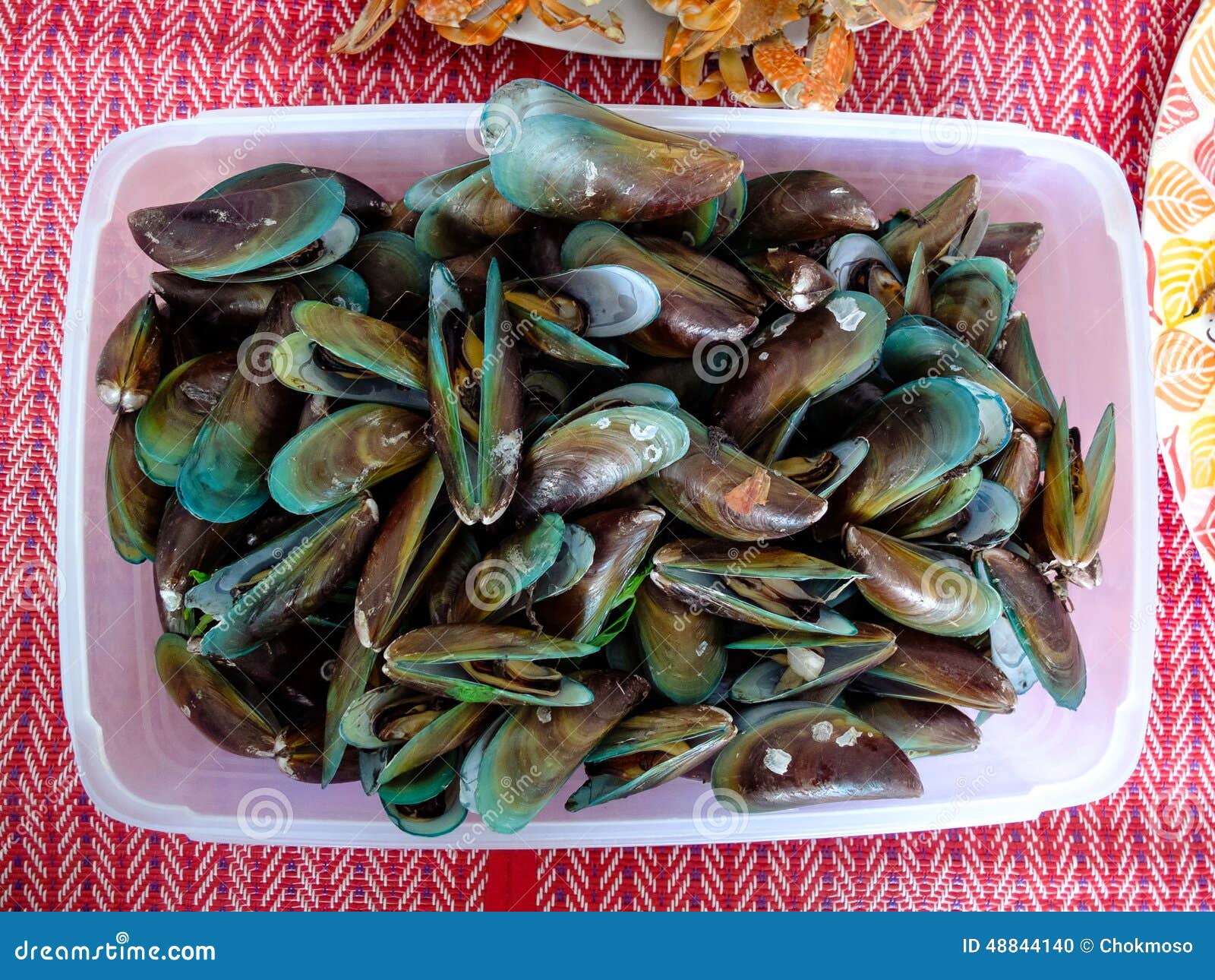 Shellfish stock photo. Image of clams, shellfish, food - 48844140