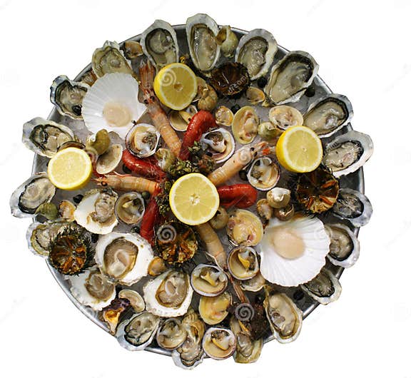 Shellfish seafood platter stock image. Image of lemon - 19386613