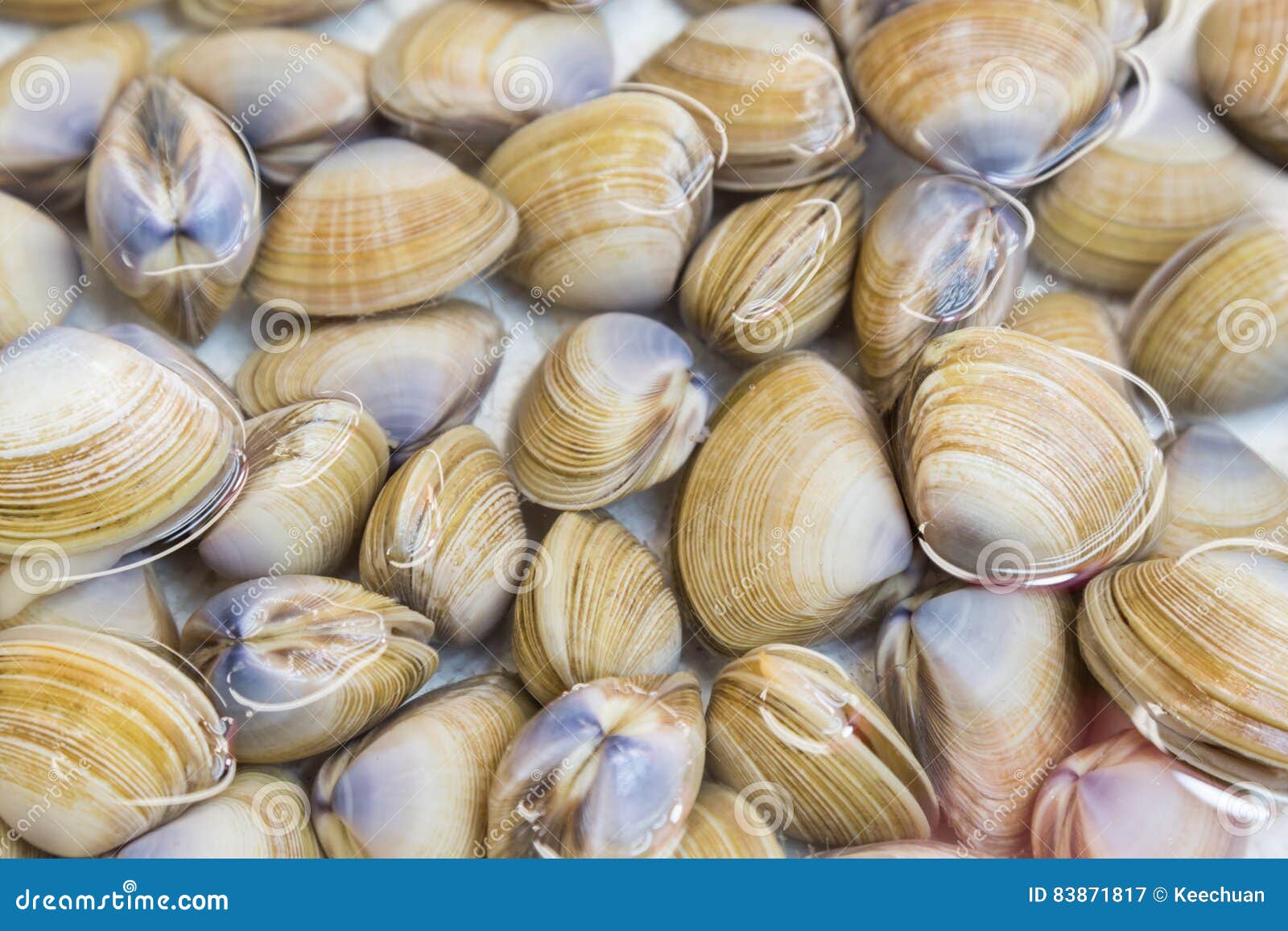 Shellfish Such As Clams are Allergic To Some People Stock Image - Image ...