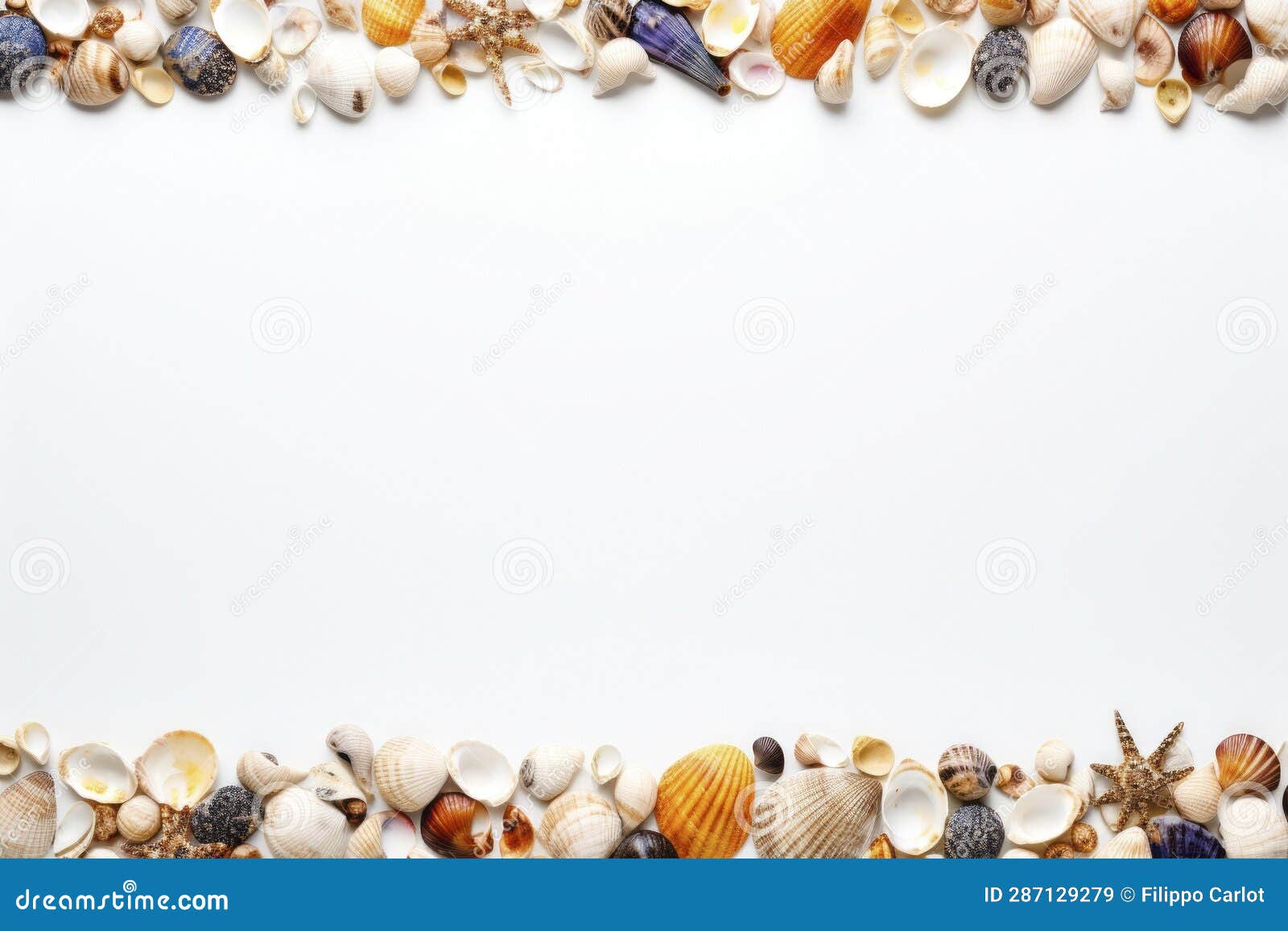 Shellfish Texture Overview stock illustration. Illustration of marine ...