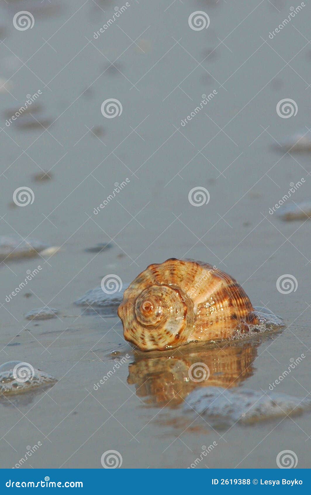 Shellfish Water Picture. Image: 2619388