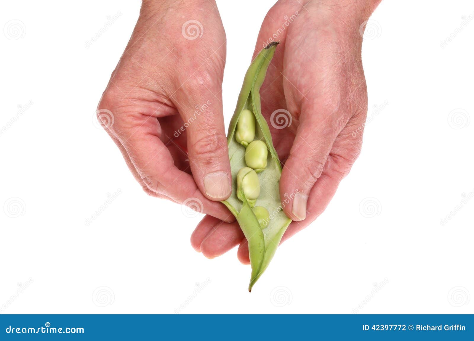 Shelling beans stock photo. Image of isolated, preparation - 42397772