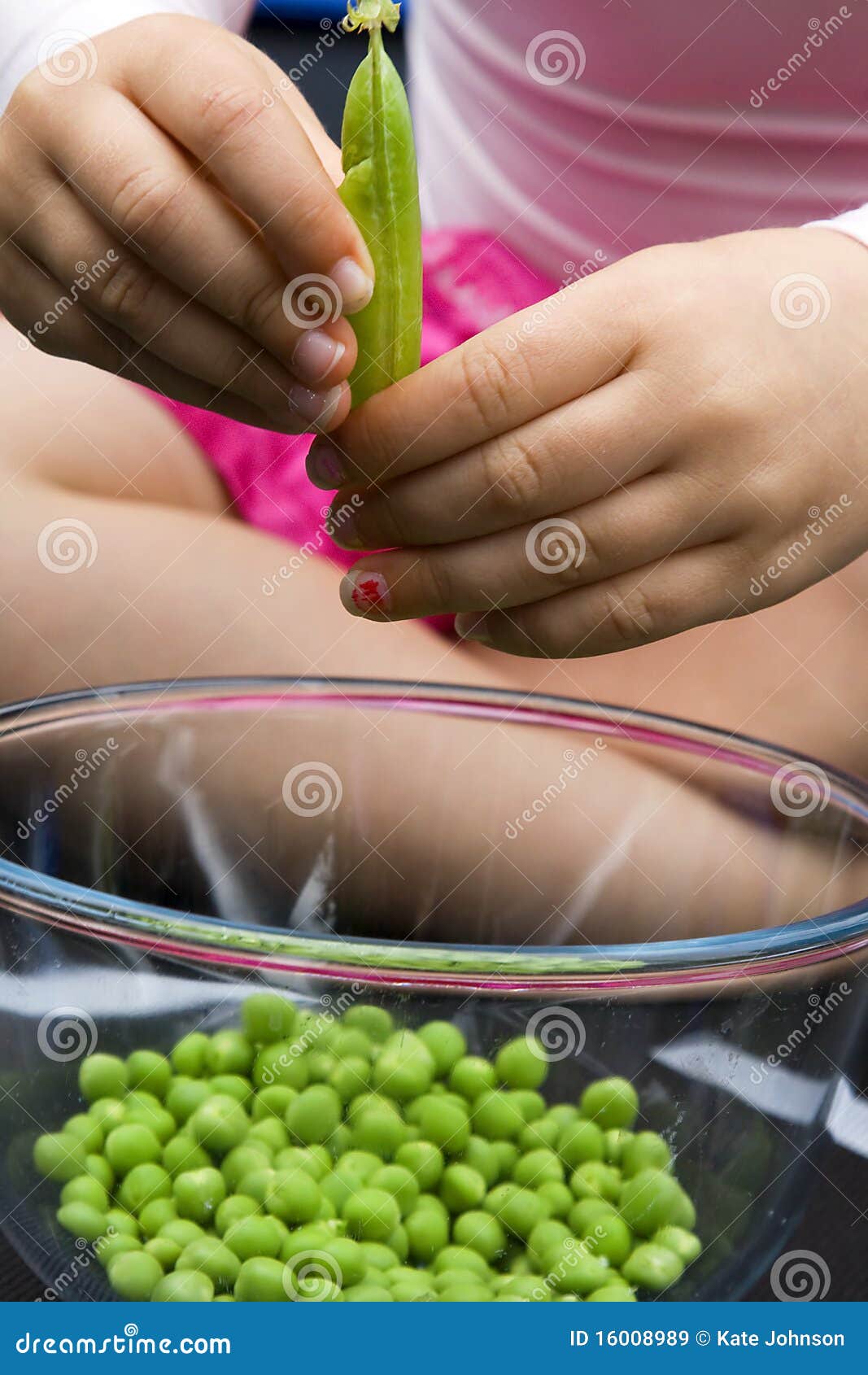 Shelling peas stock image. Image of healthy, veggie, grown - 16008989