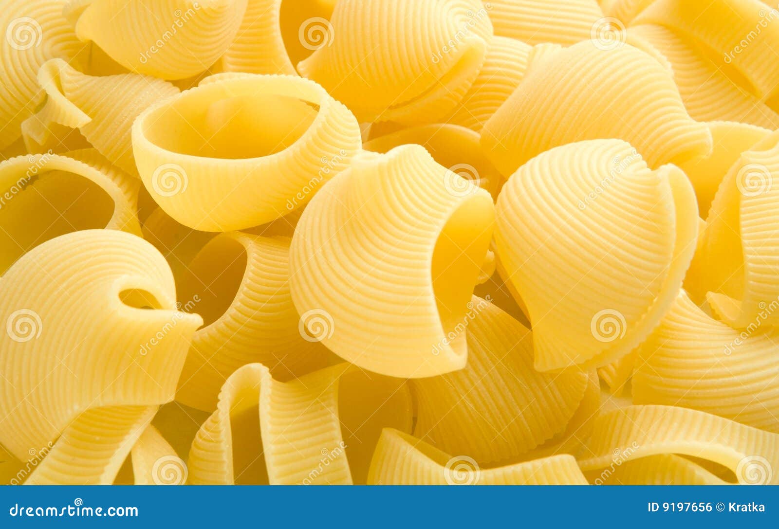 Shellpasta stock photo. Image of dinner, product, meal - 9197656