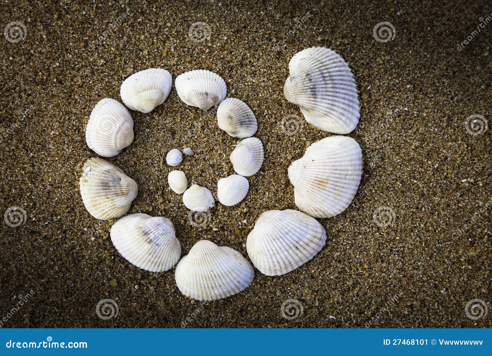 Shells stock image. Image of circle, beach, shells, sands - 27468101