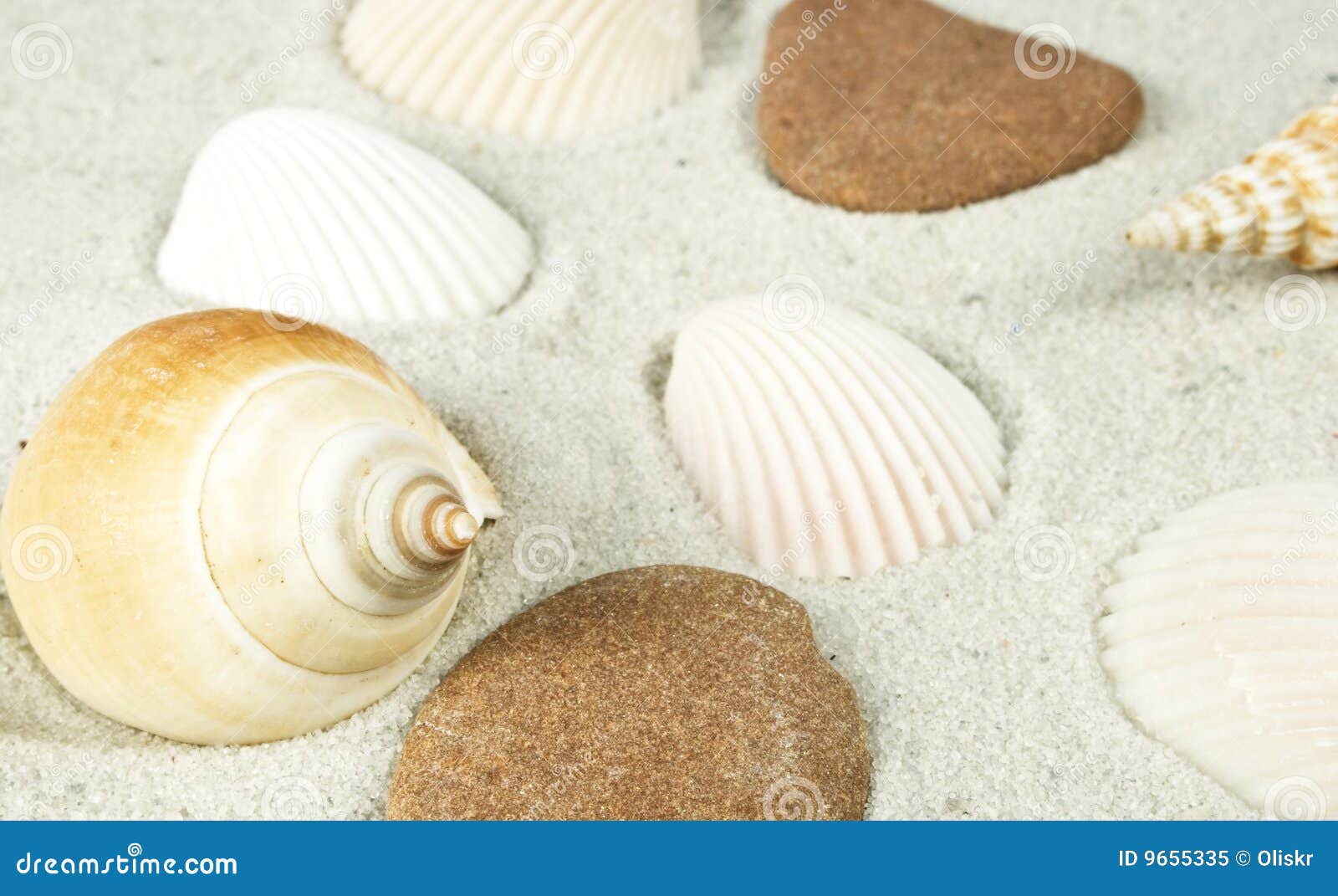 Old Maps With Shells Stock Photo | CartoonDealer.com #47367144