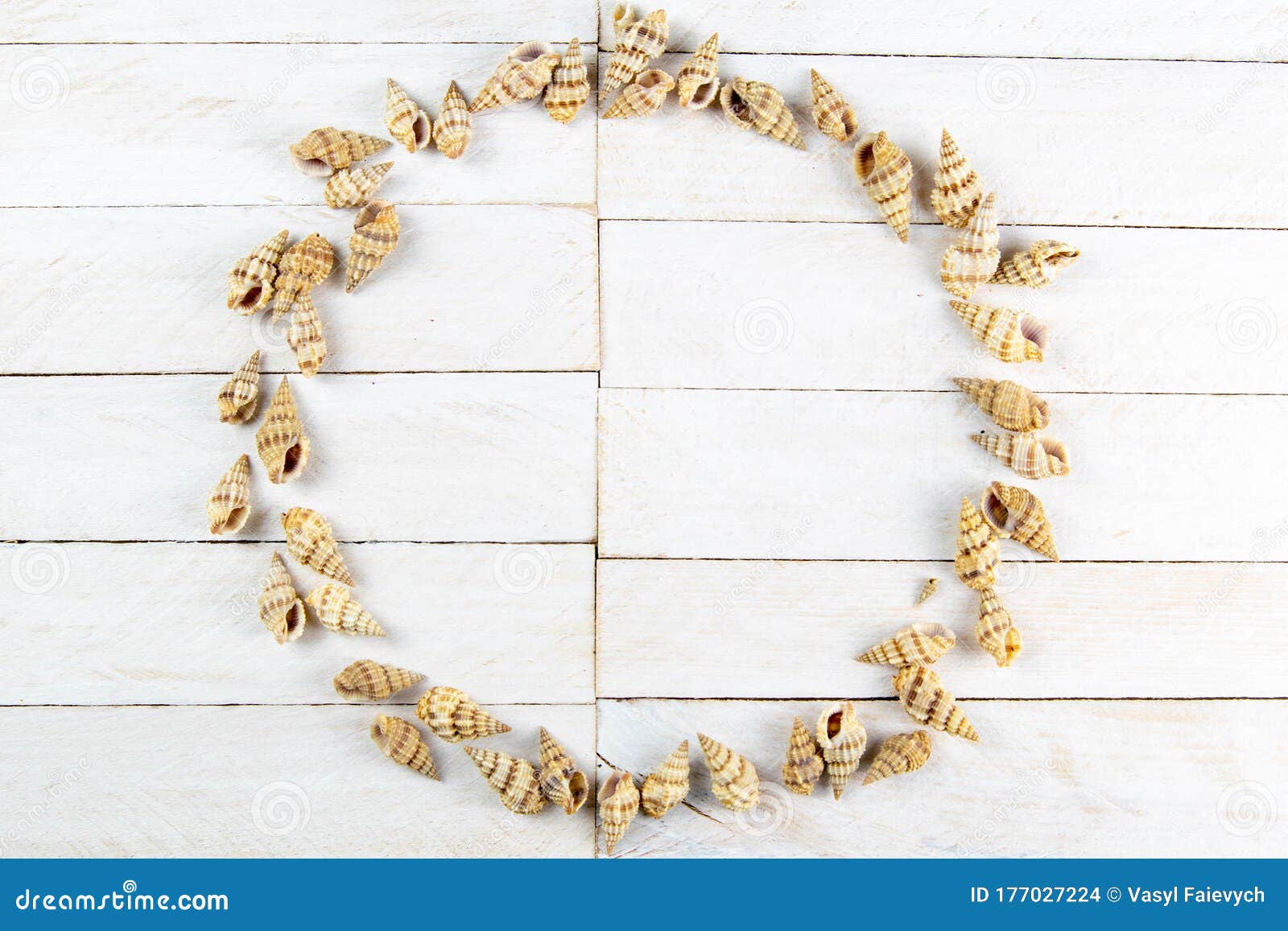 The Shells are Arranged in a Circle, There is Room Inside for a Message ...