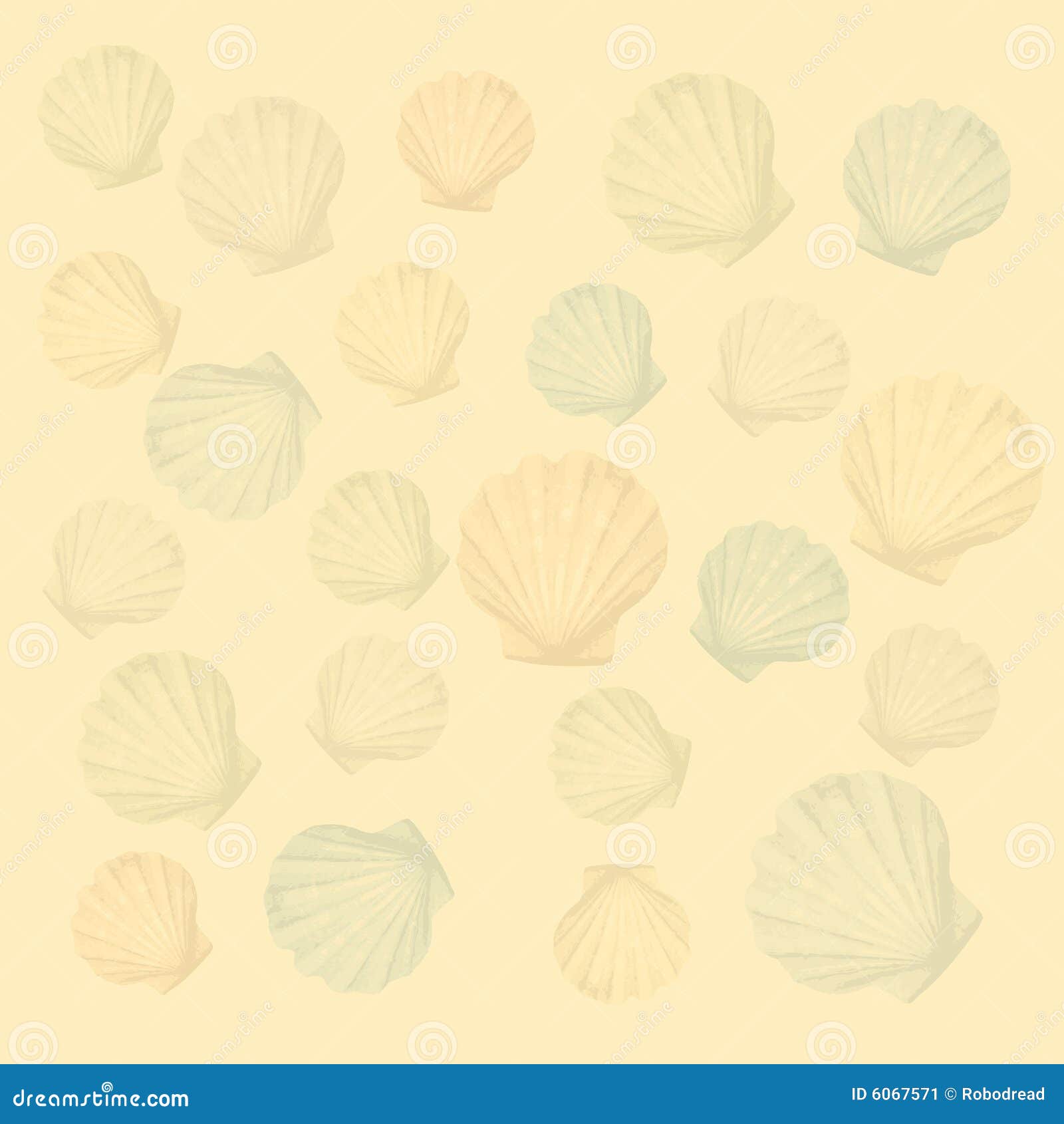 Shells background (vector) stock vector. Illustration of molusk - 6067571