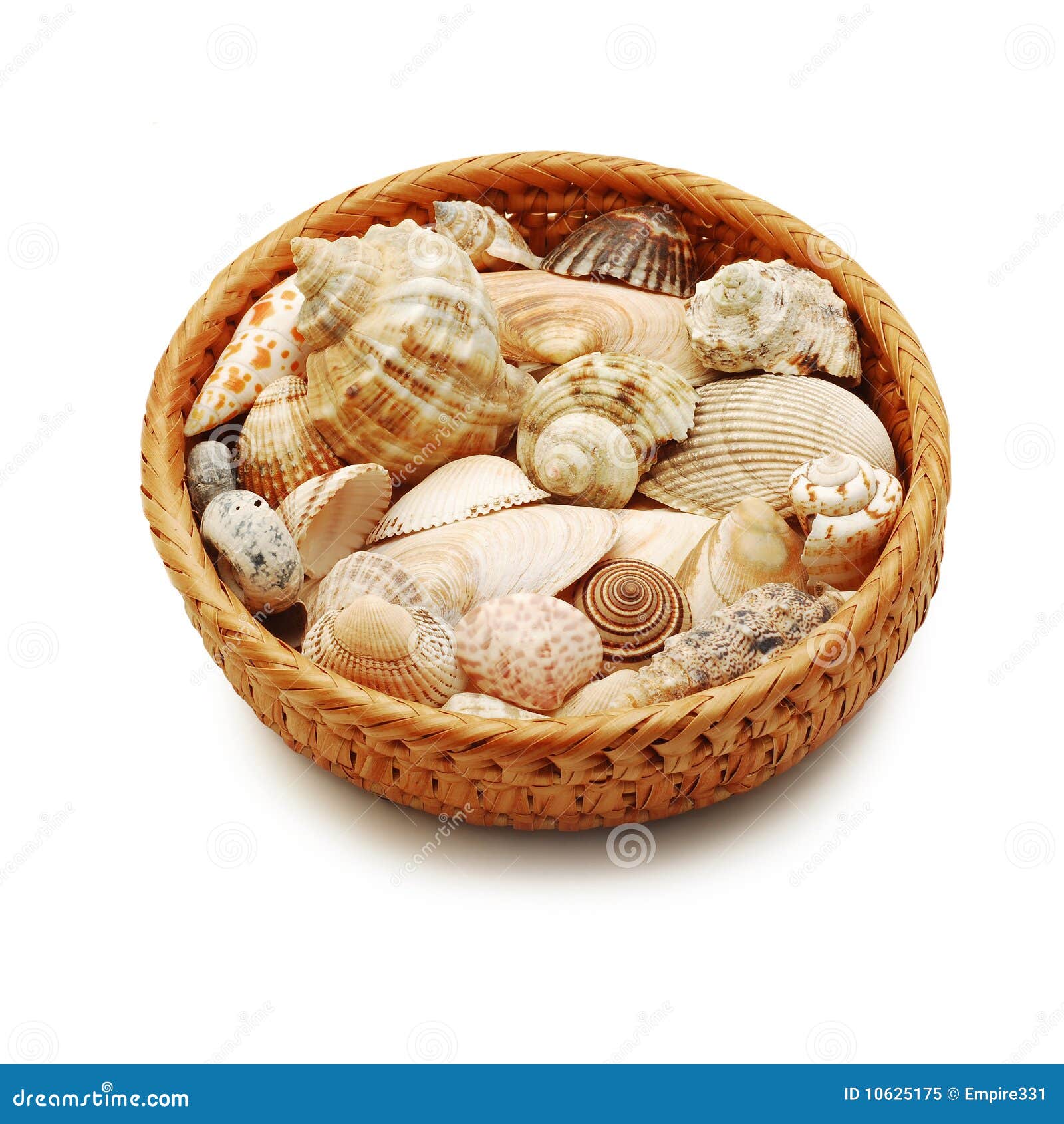 Shells in a basket stock image. Image of vacation, souvenir - 10625175