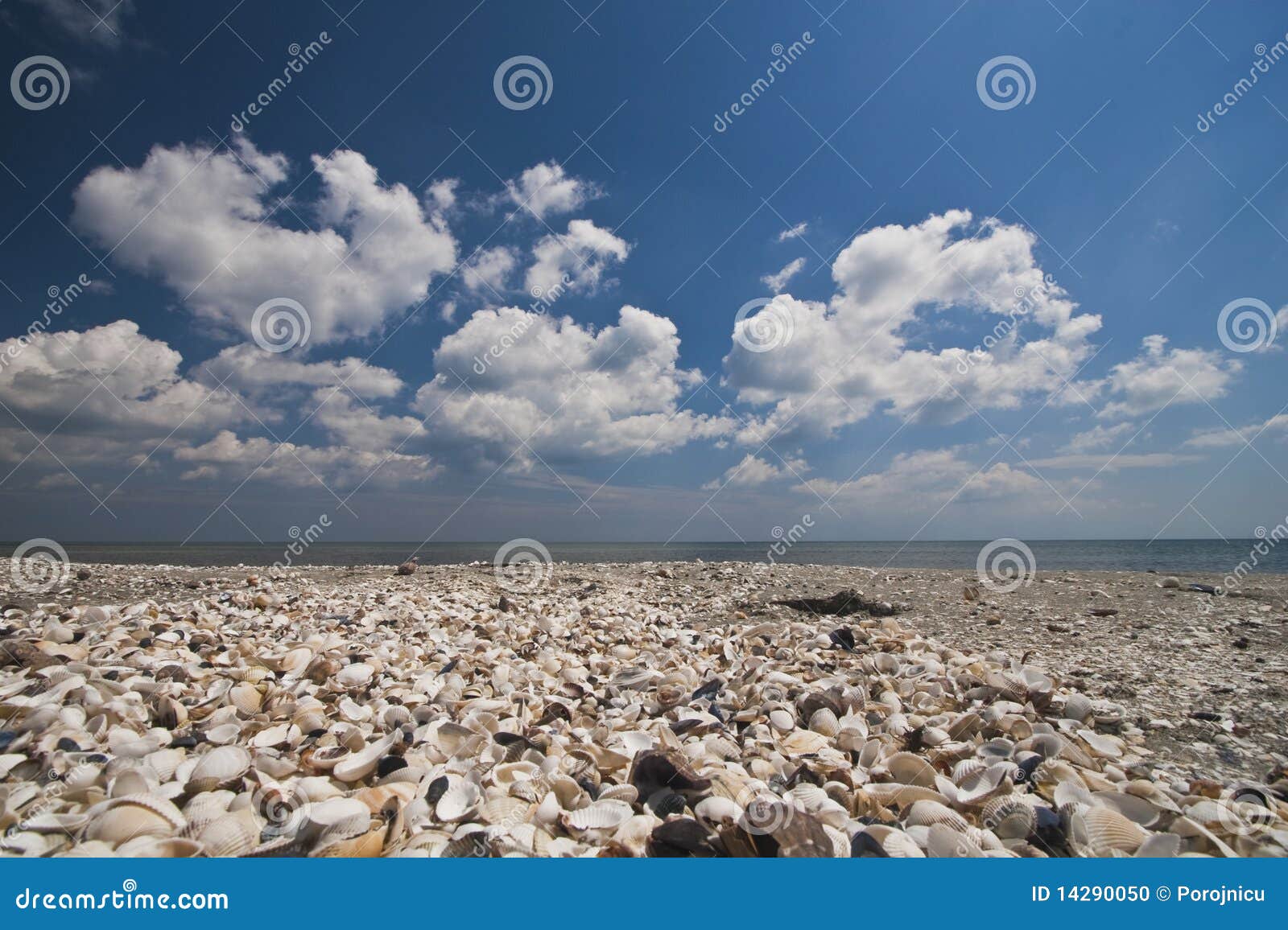 Shells beach stock photo. Image of beach, full, cloud - 14290050