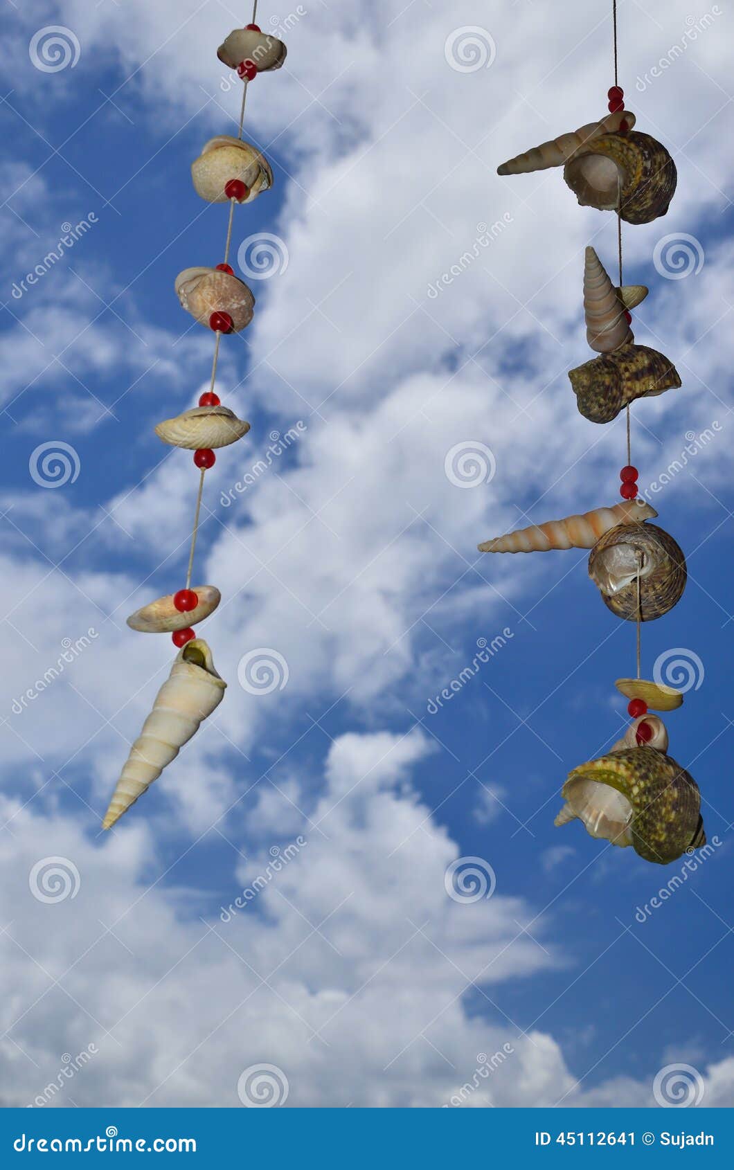 Shells on the Beach with Blue Sky Stock Image - Image of beauty ...