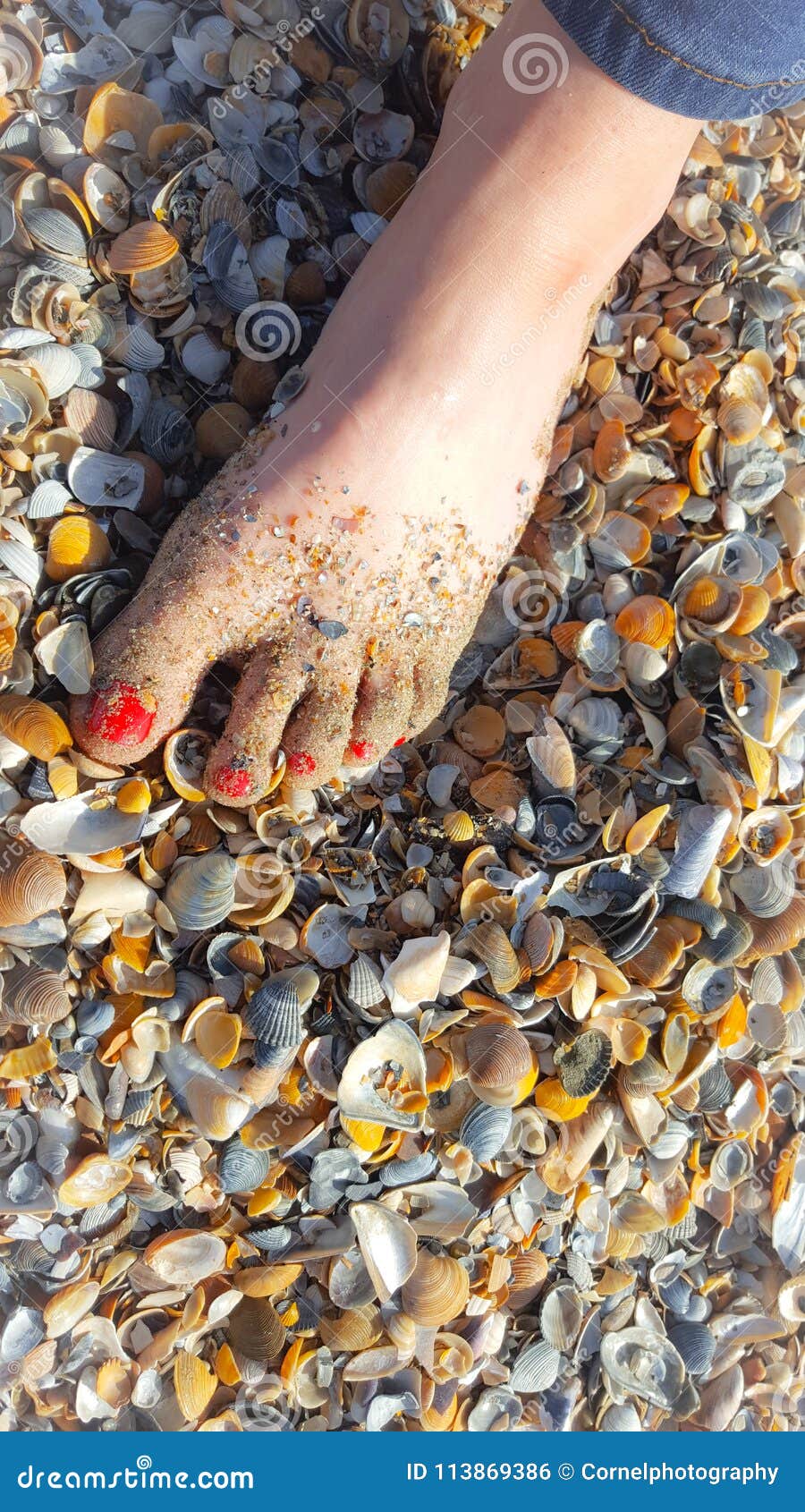 The Foot of a Young Lady in the Shells on the Beach Stock Photo - Image ...