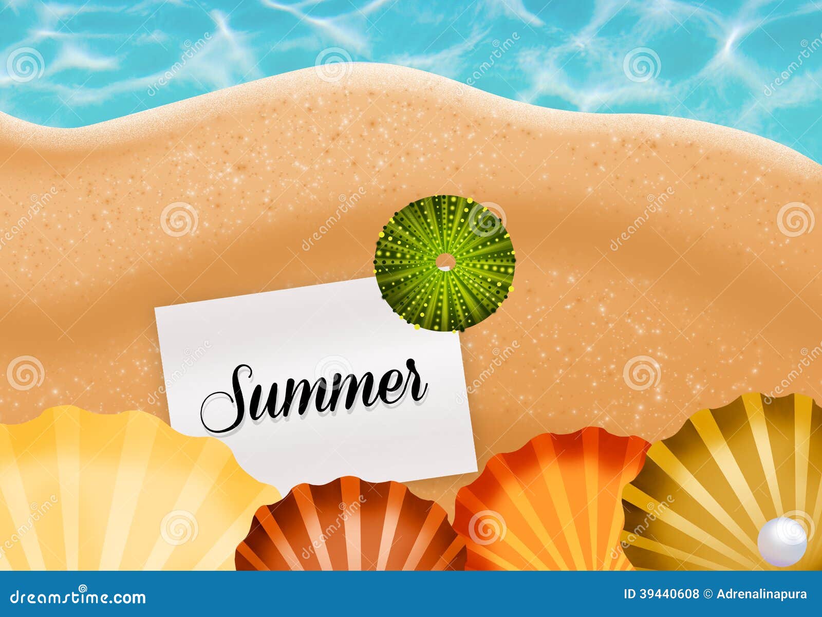 Shells on the beach stock illustration. Illustration of flipflops ...